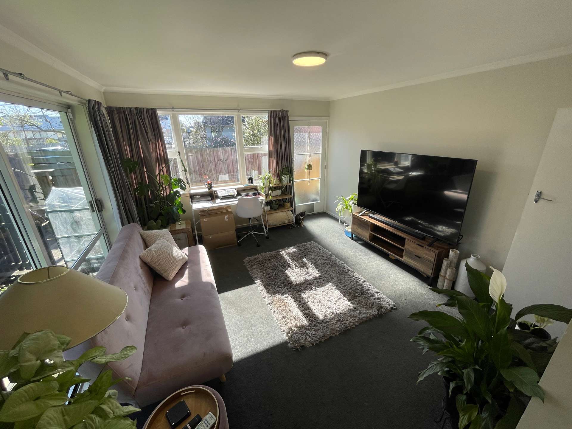 1/62 Barbour Street, Waltham, Christchurch City | Real Estate | Ray ...