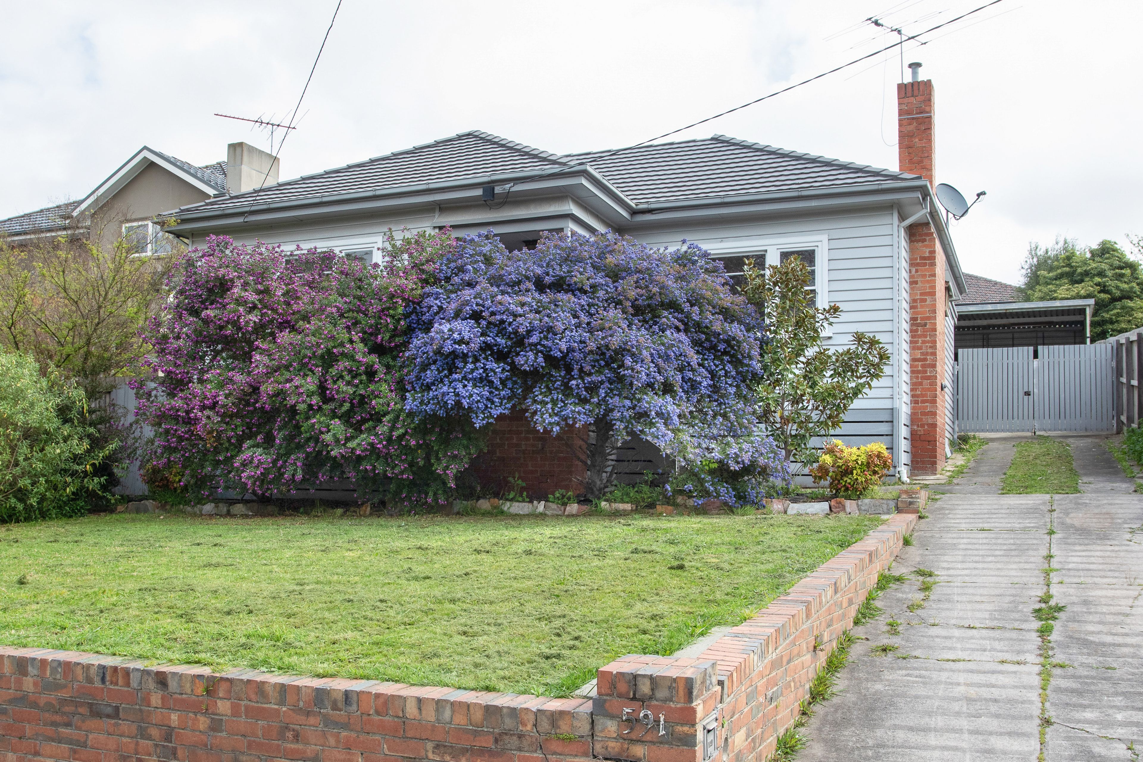 591 Pascoe Vale Road, Oak Park, VIC 3046 - Leased House - Ray White Glenroy