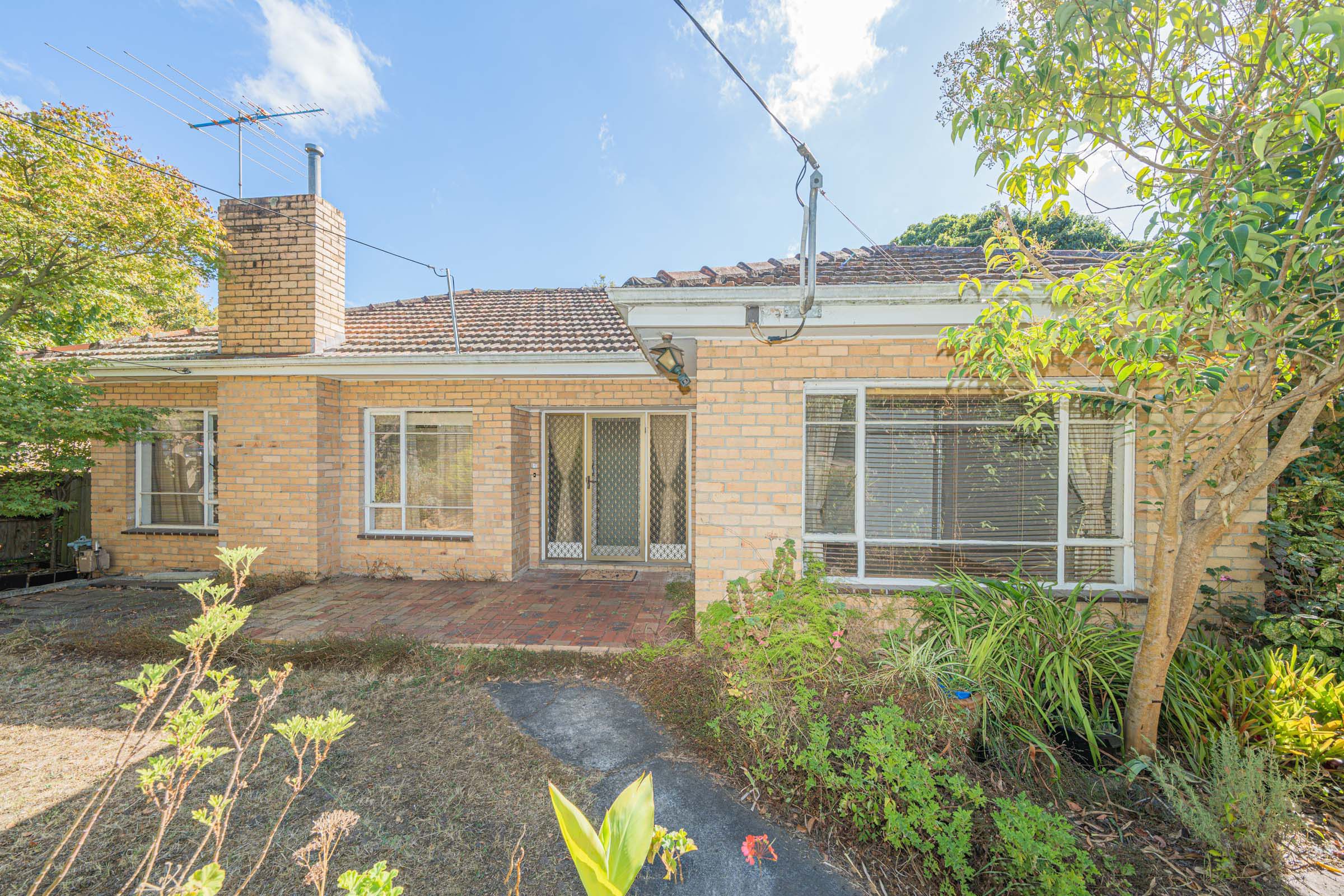 3 Poole Street, Burwood, VIC 3125 - Leased House - Ray White Burwood