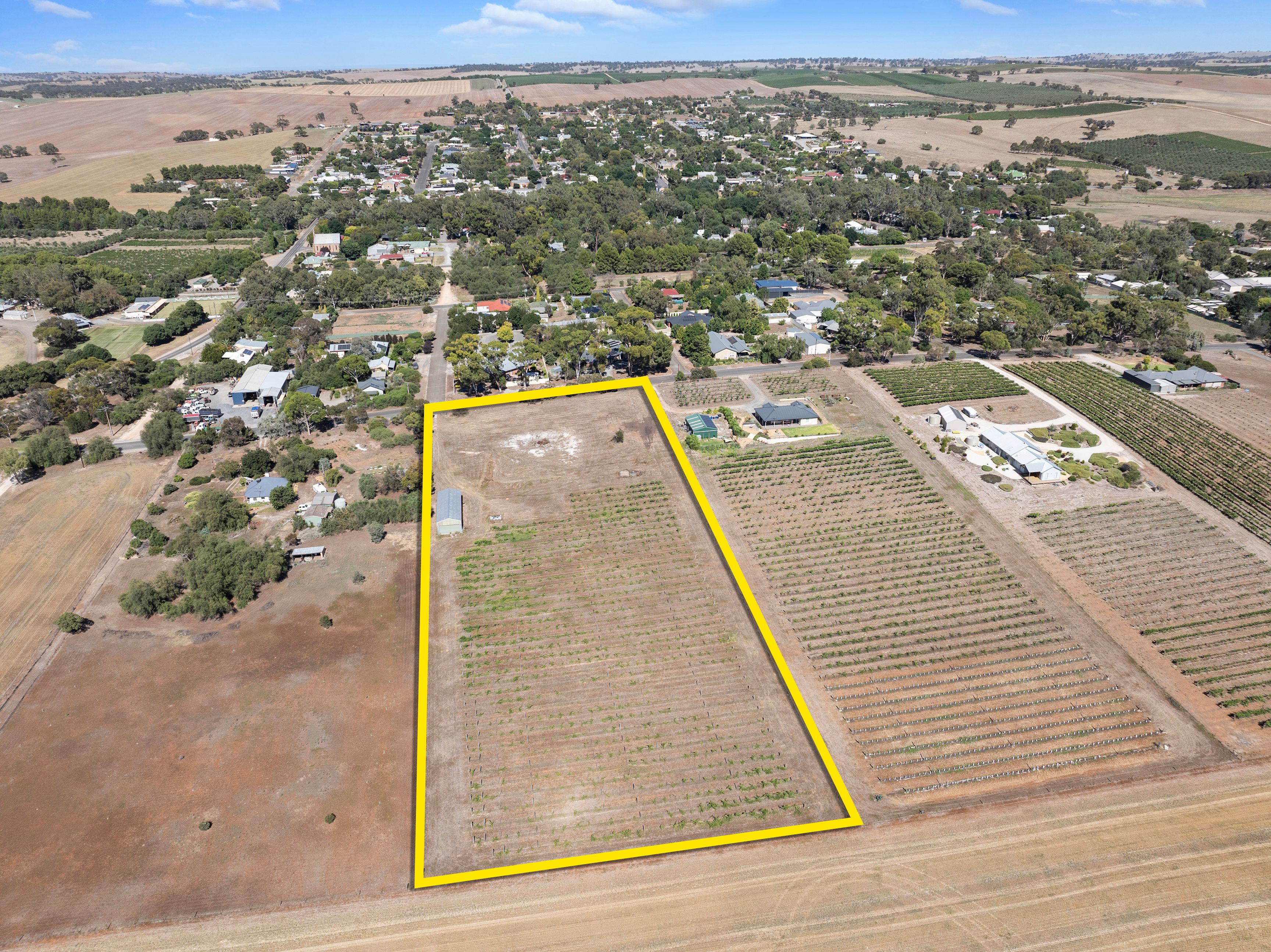 Ray White Clare Valley