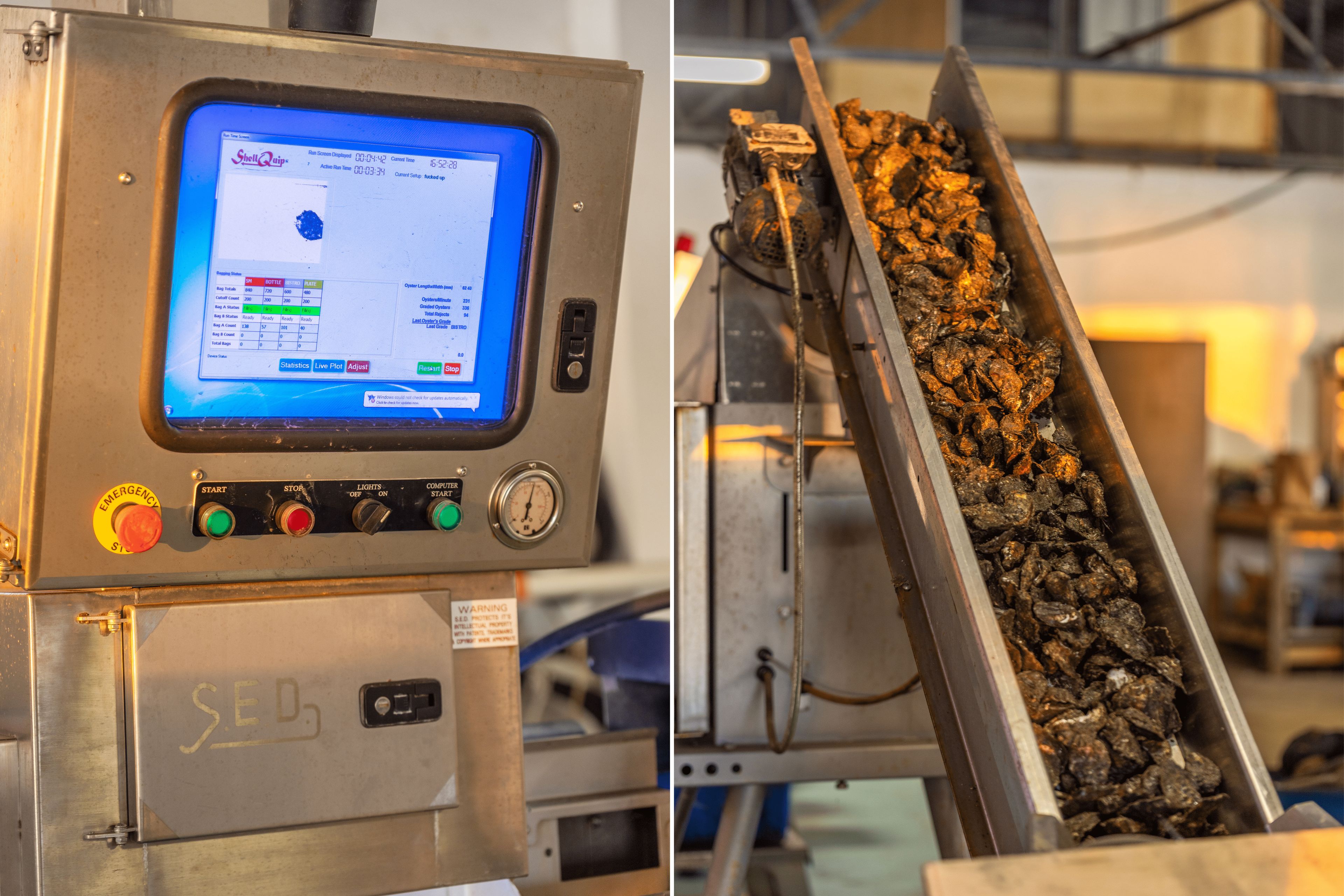 'Ralston Oysters' Godwin Island, Wallis Lake, NSW 2428 - Retail for ...