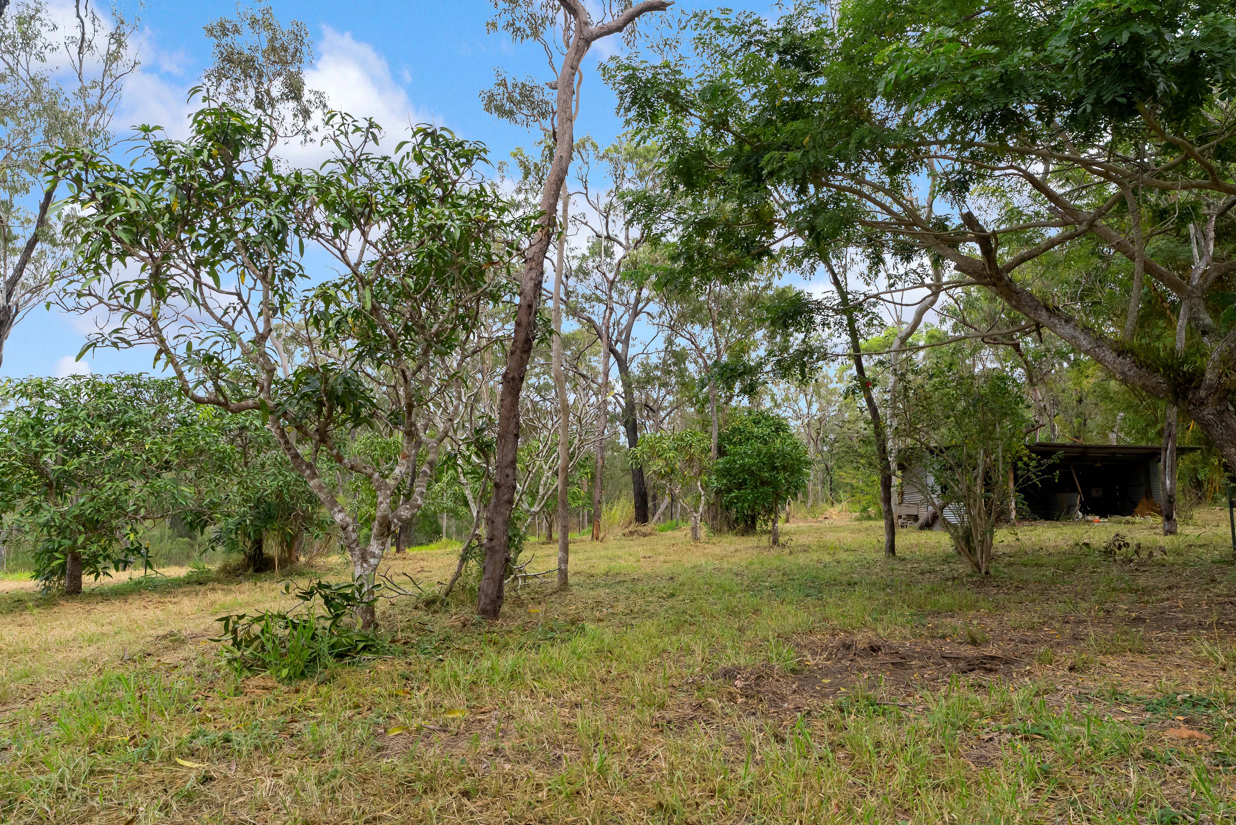 135 Cedar Park Road, Koah, QLD 4881 - Sold Land - Ray White Cairns ...