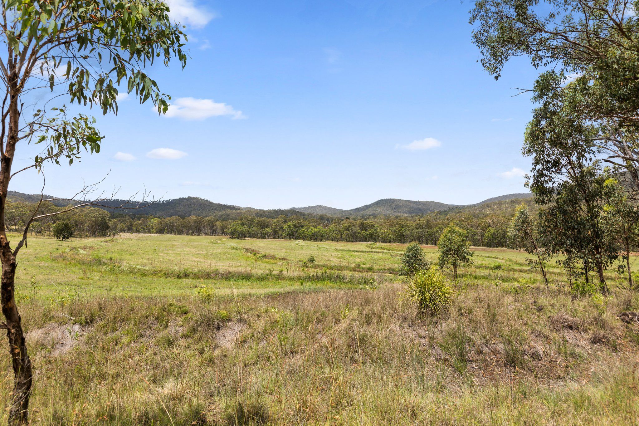 1719 Pilton Valley Road, Clifton, QLD 4361 - Sold Rural Mixed Farming ...