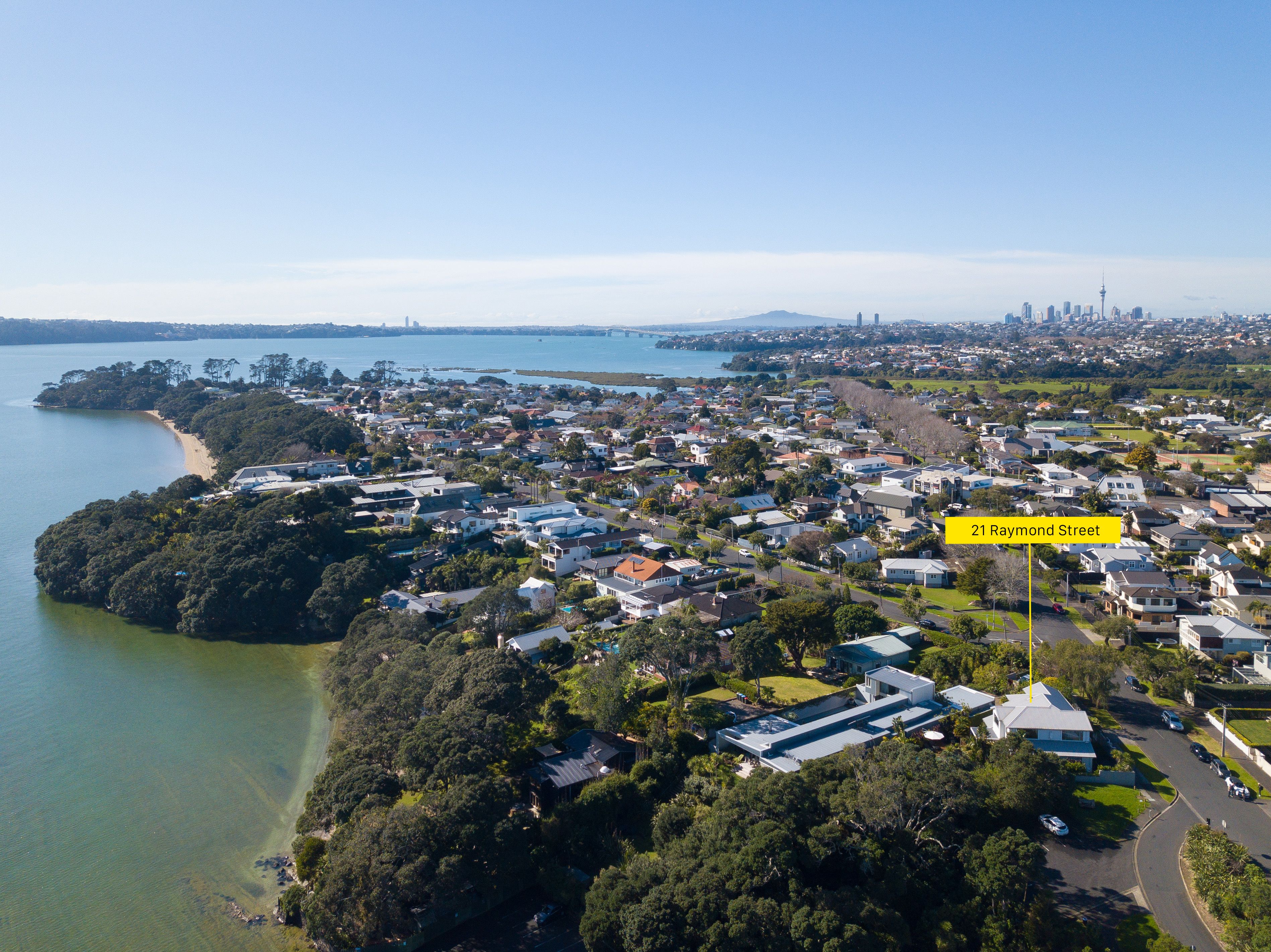 Ray White Pt Chevalier