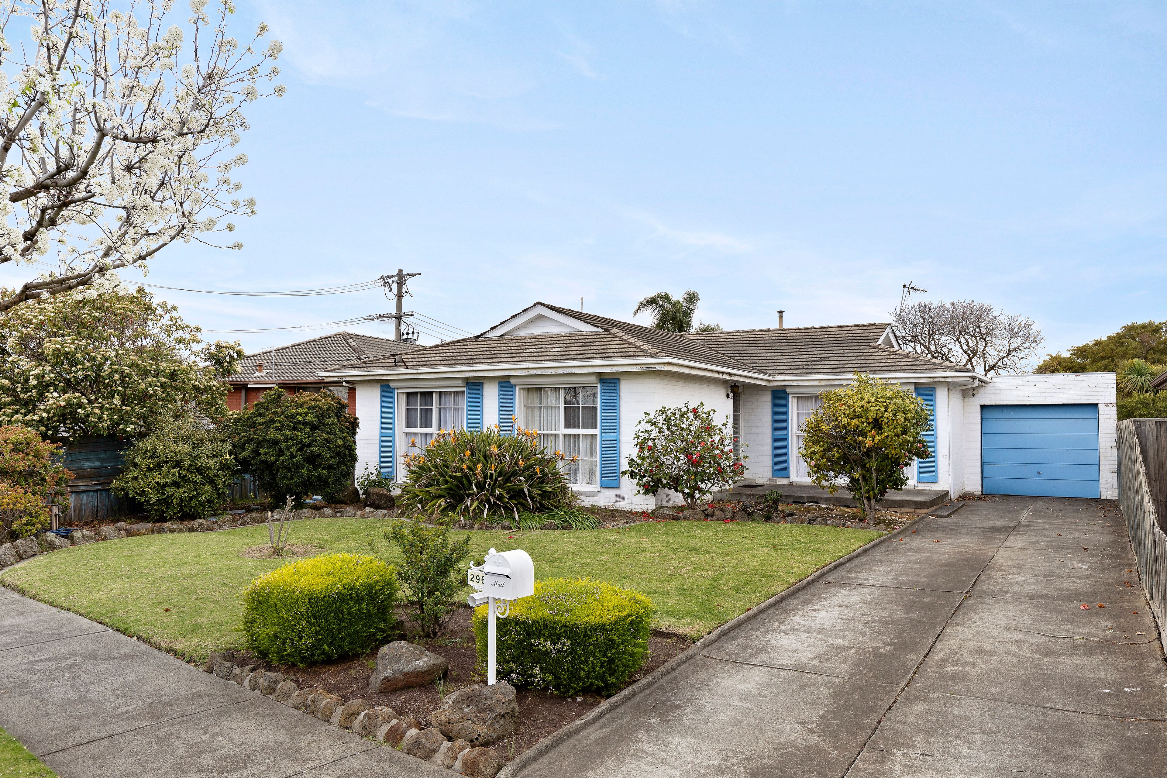 Ray White Pascoe Vale