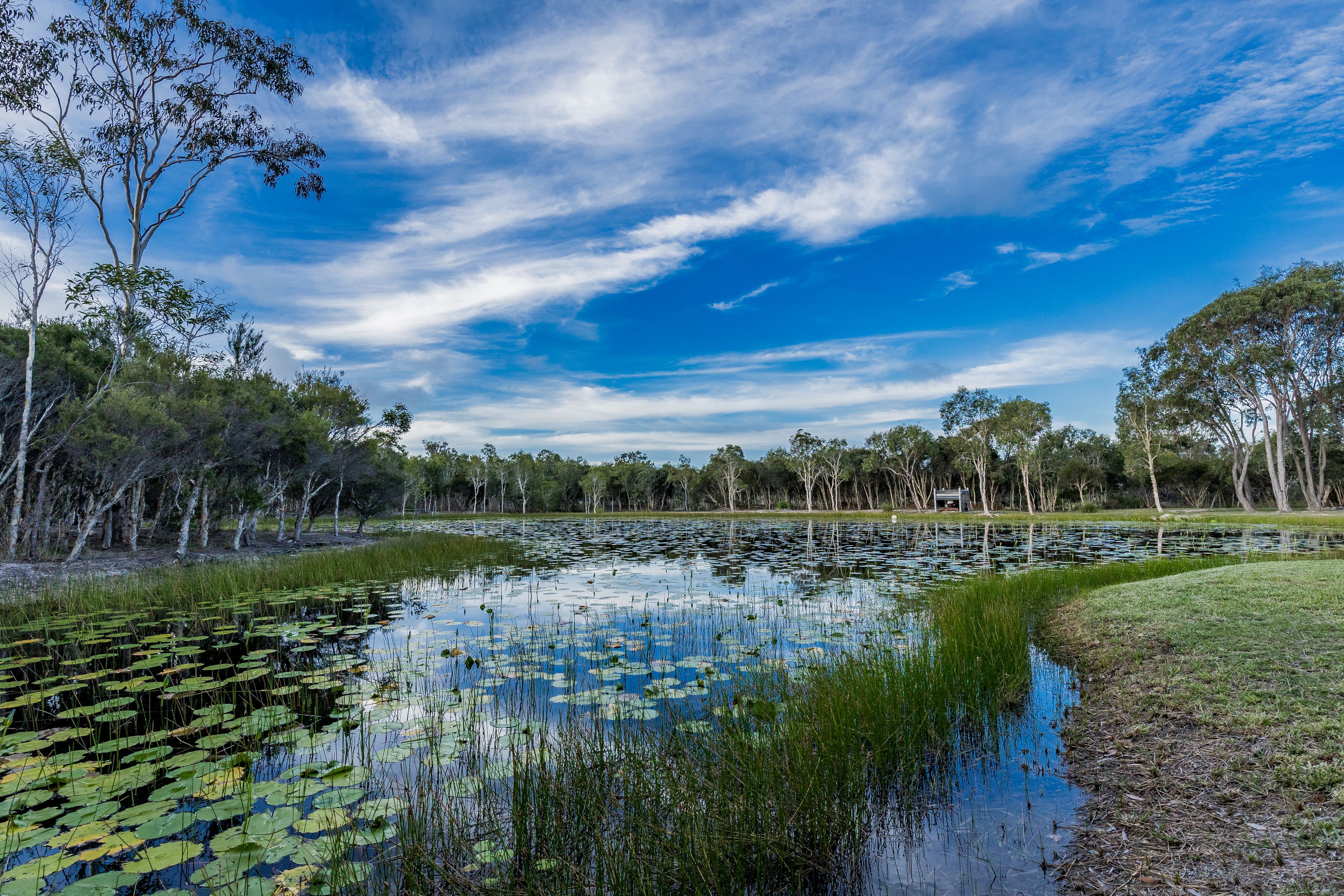 80 Streeter Drive, Agnes Water, QLD 4677 - Sold House - Ray White Real ...