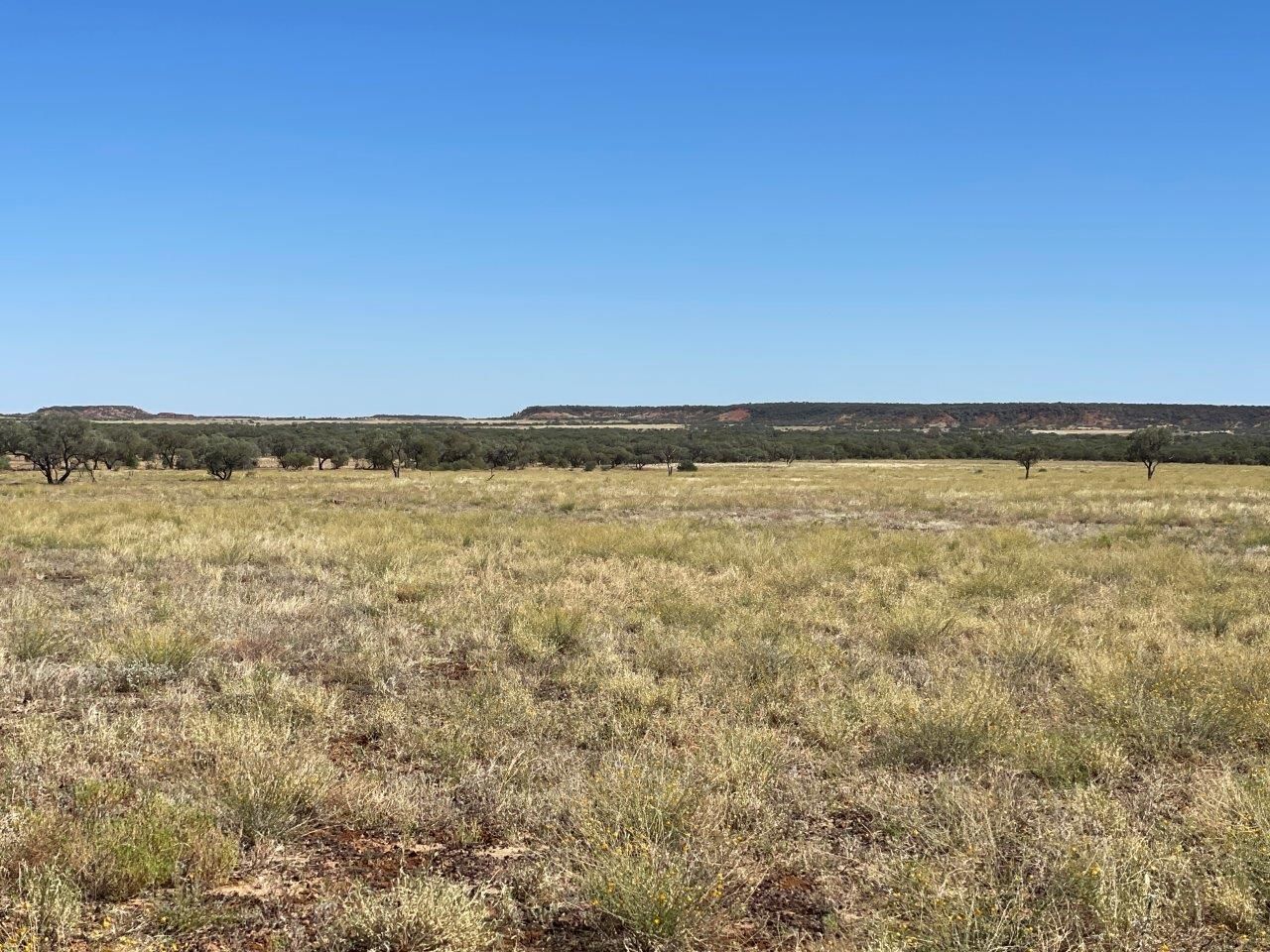 "Cawnpore Station" - 0 Kennedy Development Road, Middleton, QLD 4735 ...