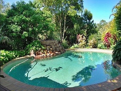 89 Treehaven Way, Maleny, QLD 4552 - Leased House - Ray White Maleny