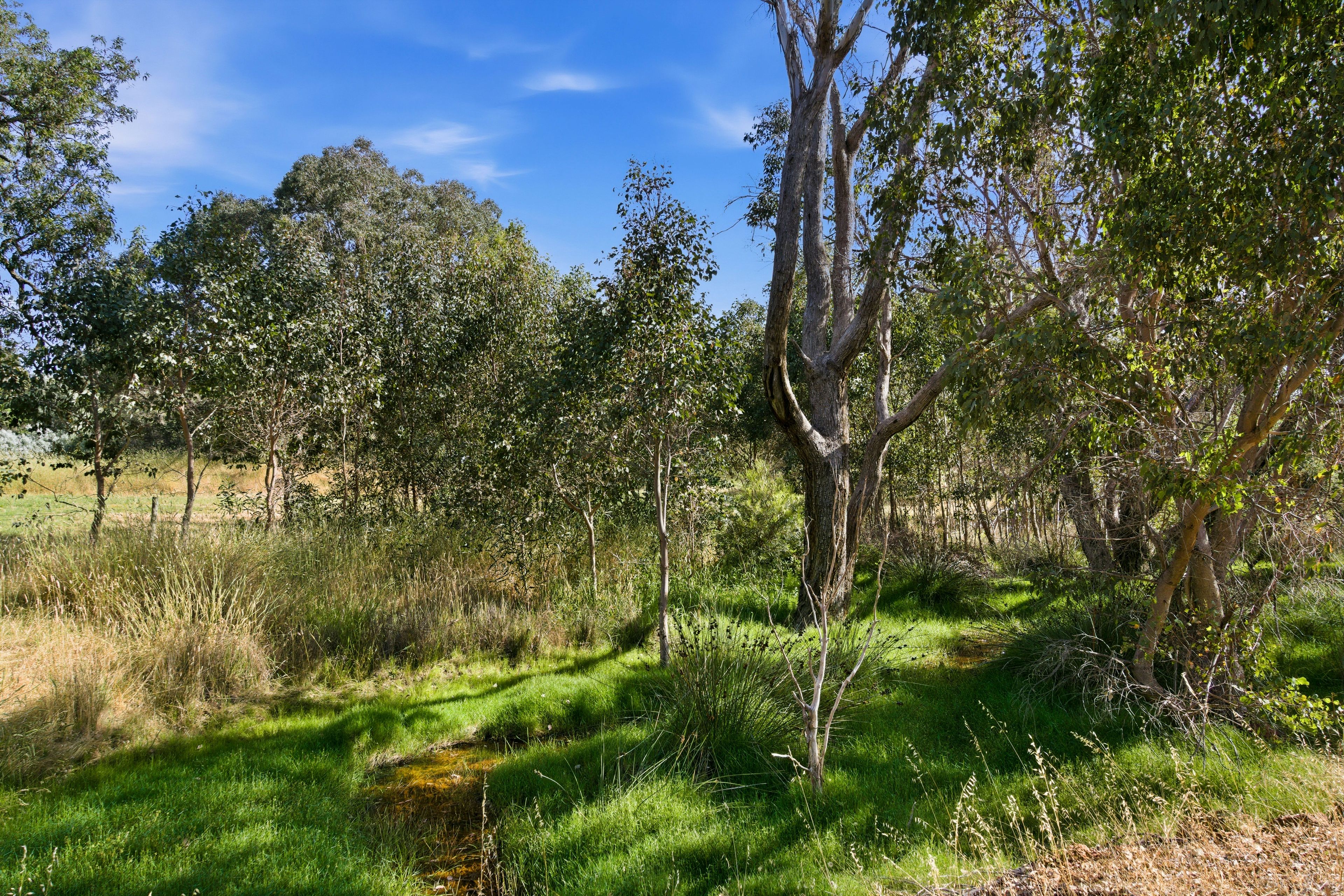 Lot 30 Windy Hollow Vale, Kangaroo Gully, WA 6255 - Sold Land - Ray ...