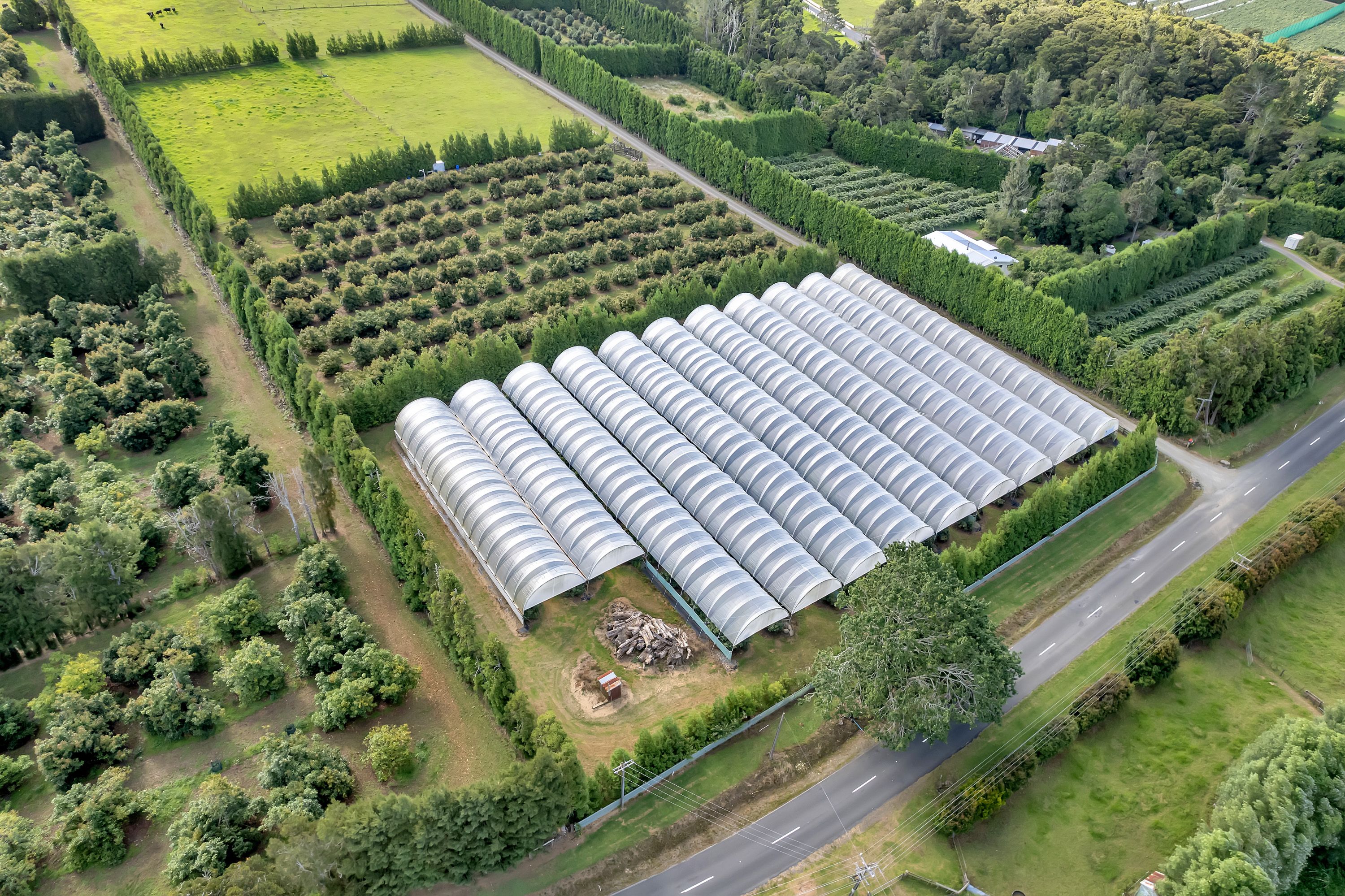 65 Tatton Road, Maungatapere, Whangarei District 0179 - Rural ...