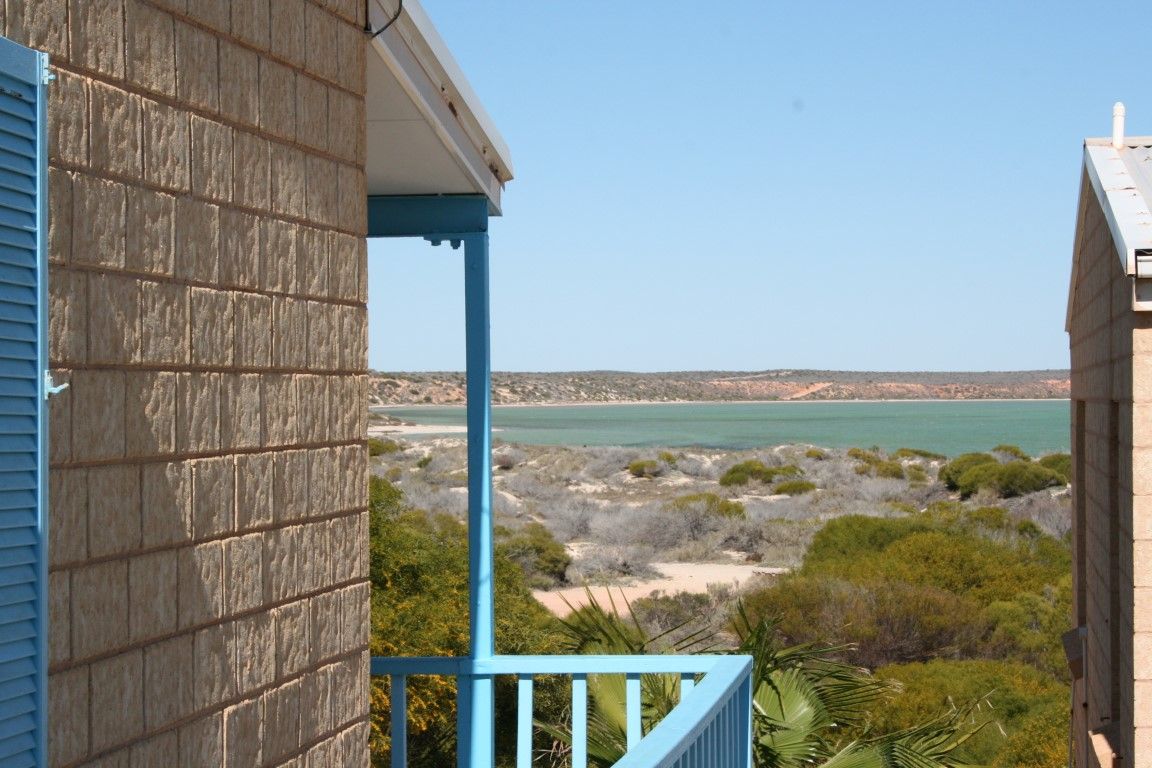 Ray White Shark Bay