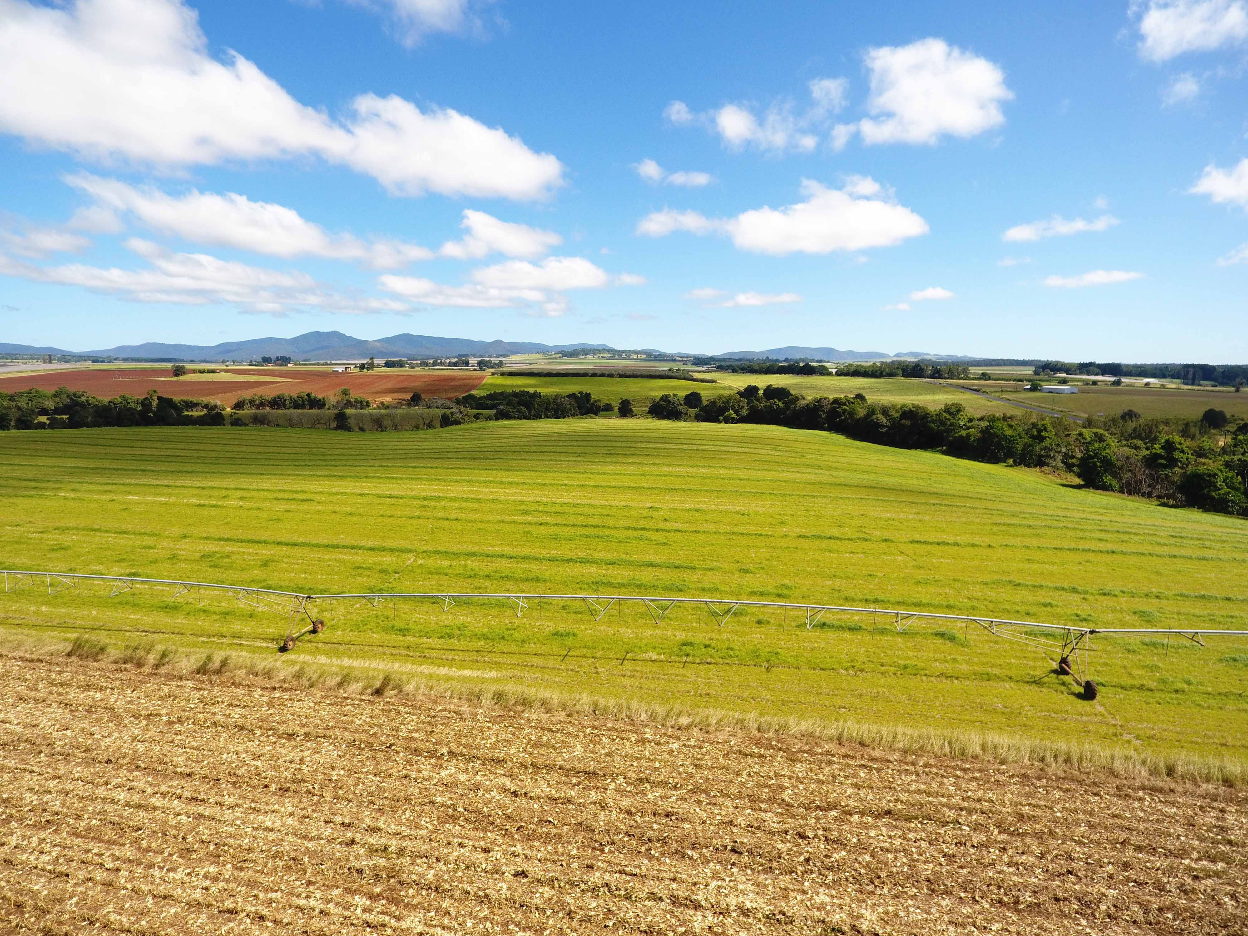 4749 Gillies Range Road, East Barron, QLD 4883 - Rural Cropping ...