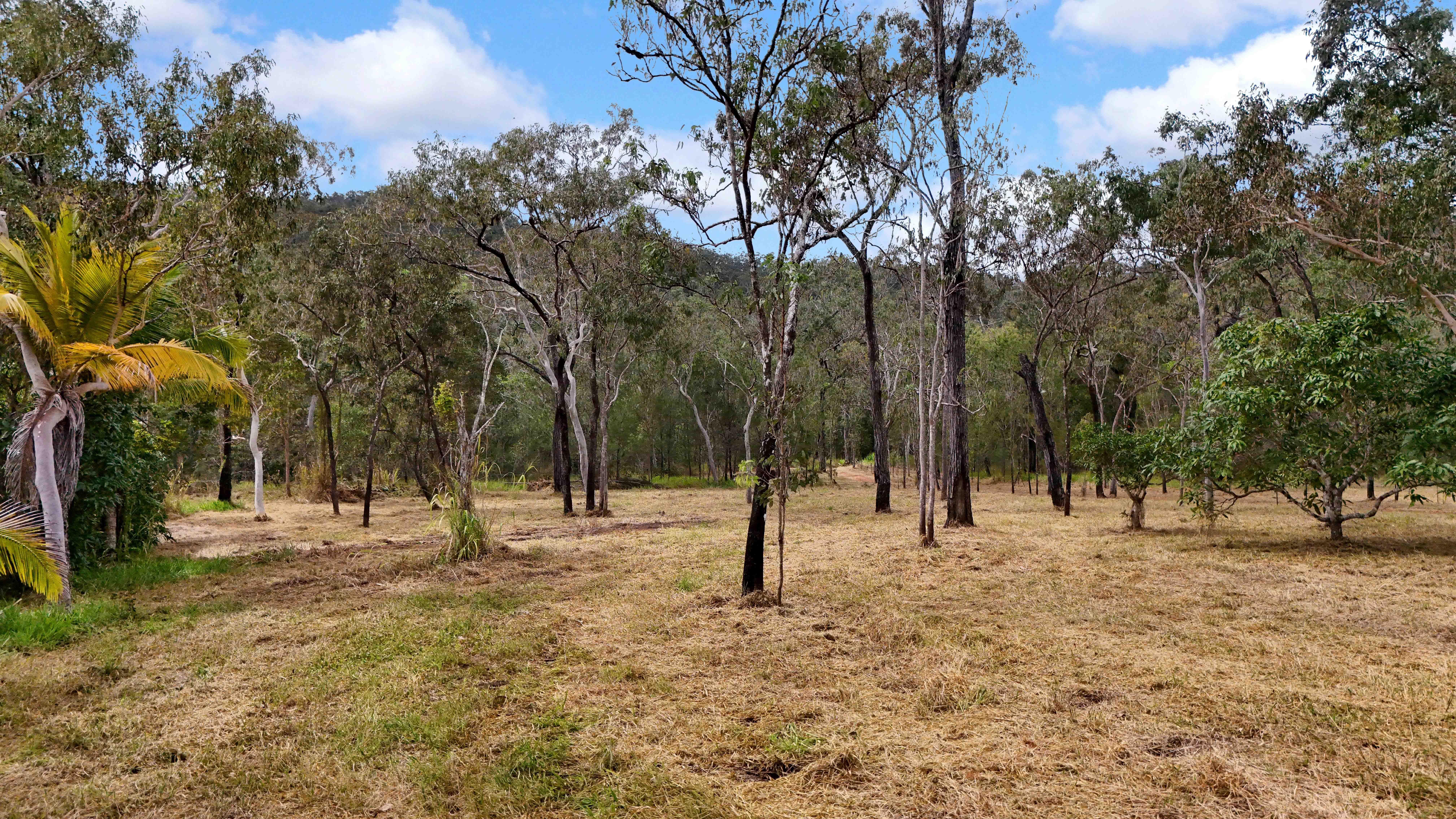 135 Cedar Park Road, Koah, QLD 4881 - Sold Land - Ray White Cairns ...