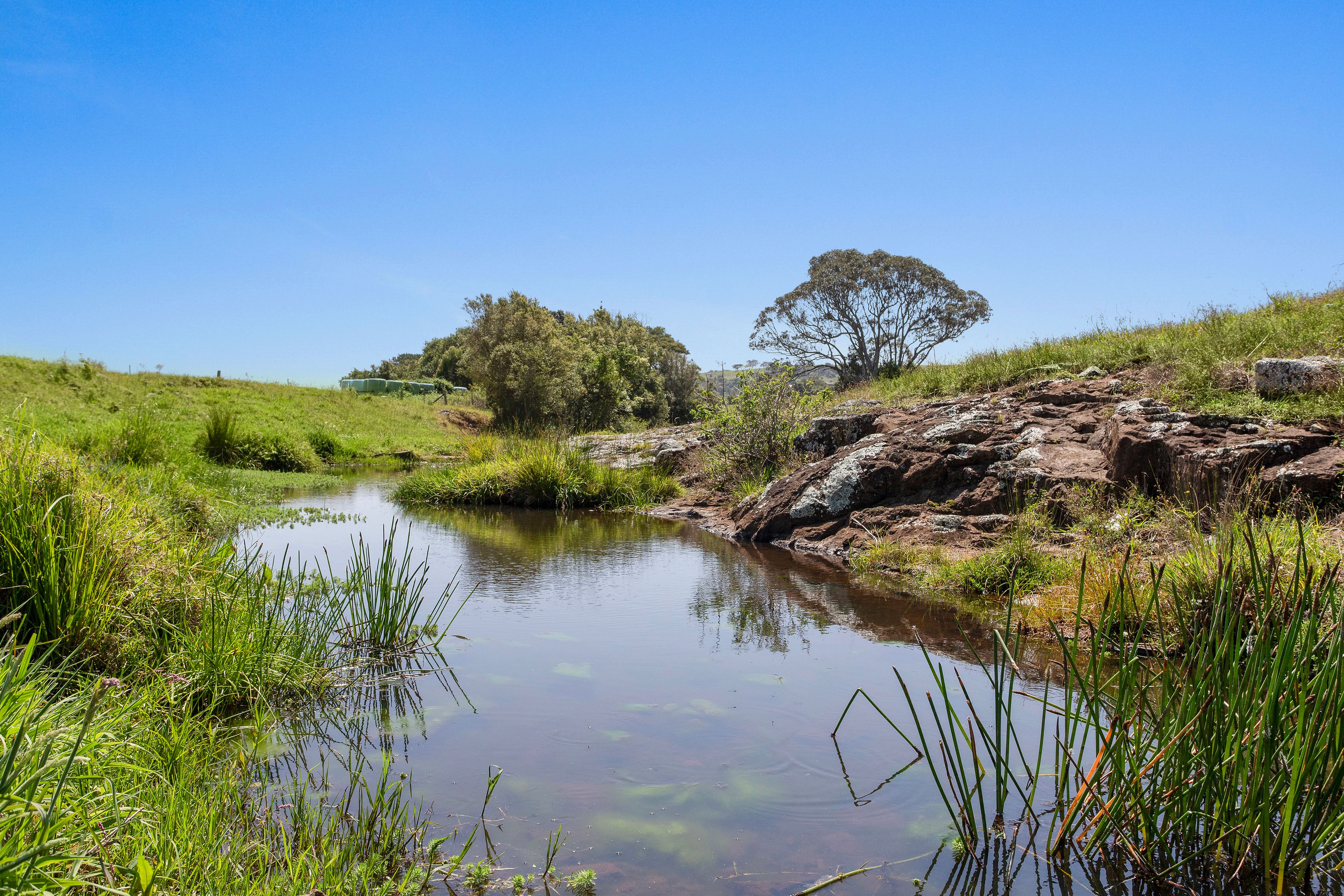 Lot 22 Jamberoo Road, Jerrara, NSW 2533 - Sold Rural Lifestyle Property ...