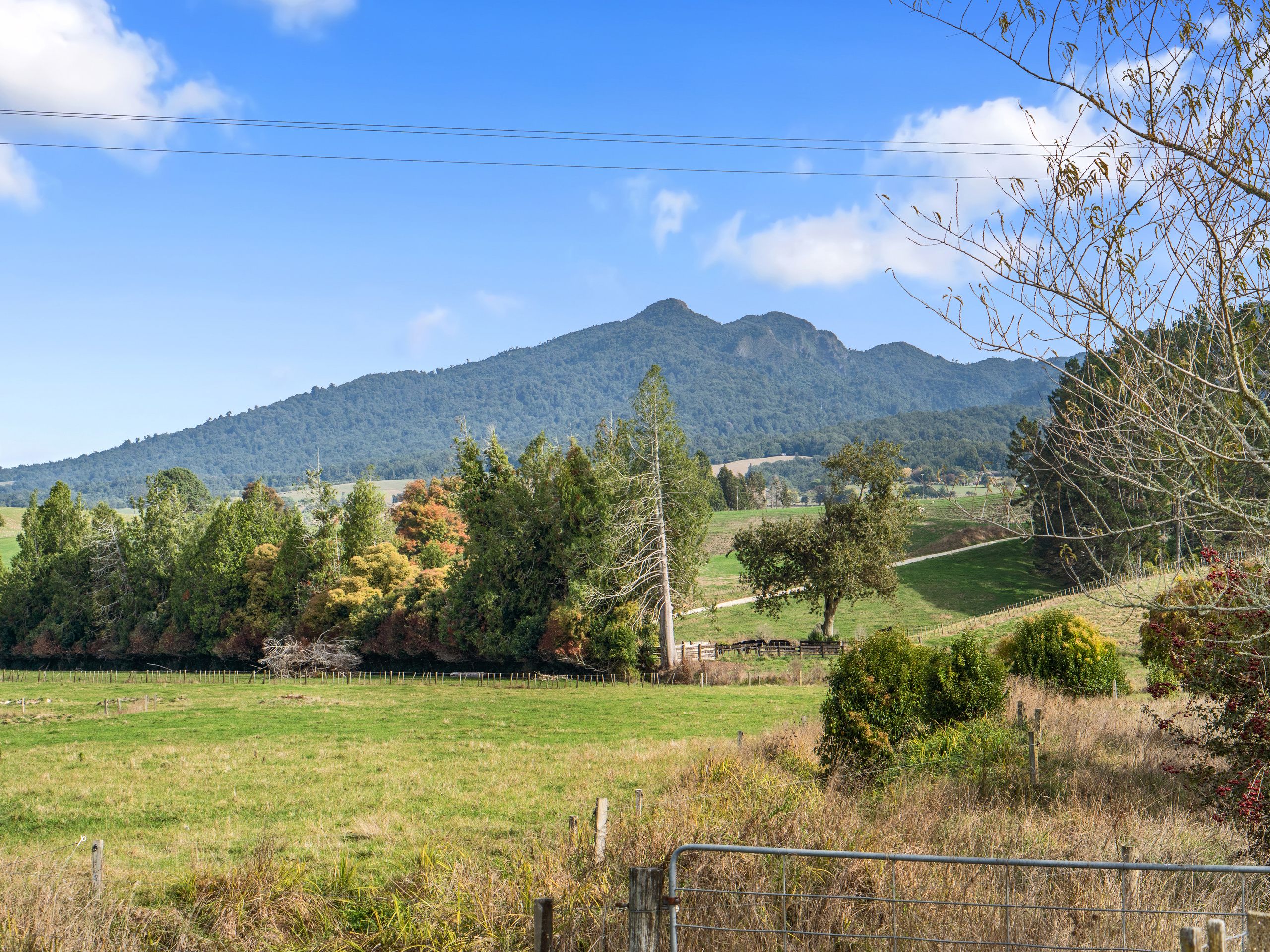 385 Te Pahu Road, Te Pahu, Waipa District 3285 - Sold Lifestyle ...