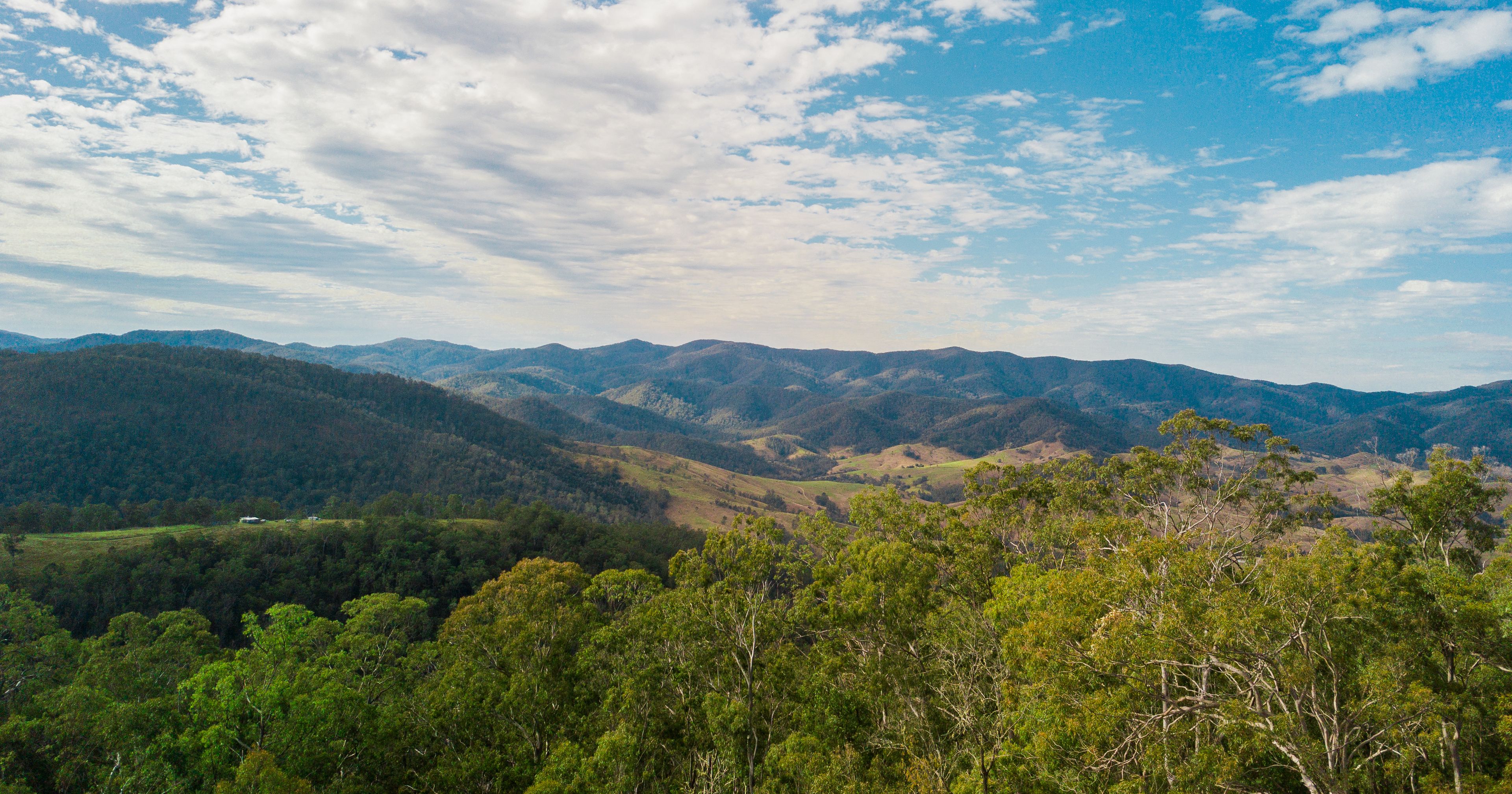 Ray White Manning Valley