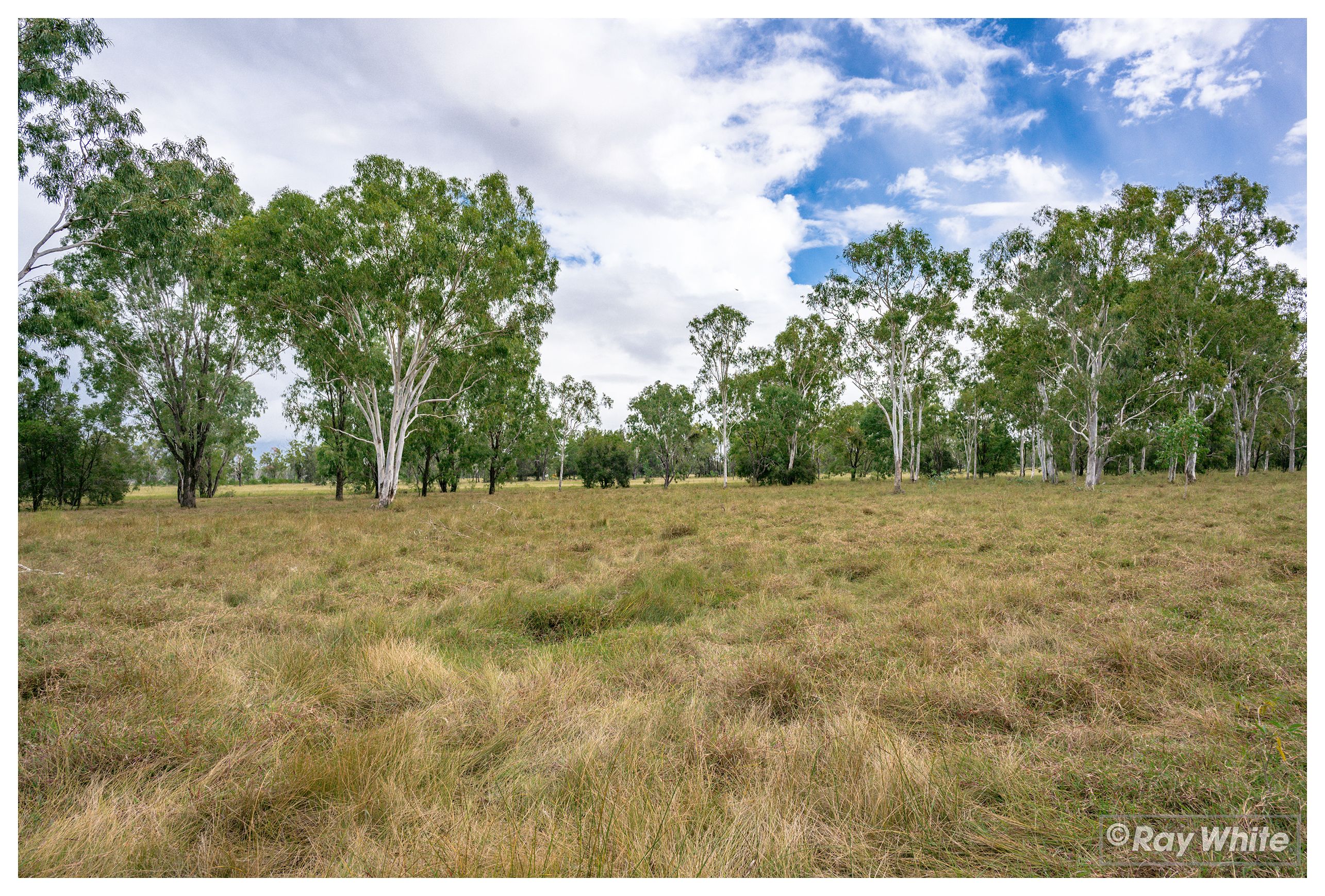 253 Hunt Road, Alton Downs, QLD 4702 - Rural Lifestyle Property for ...