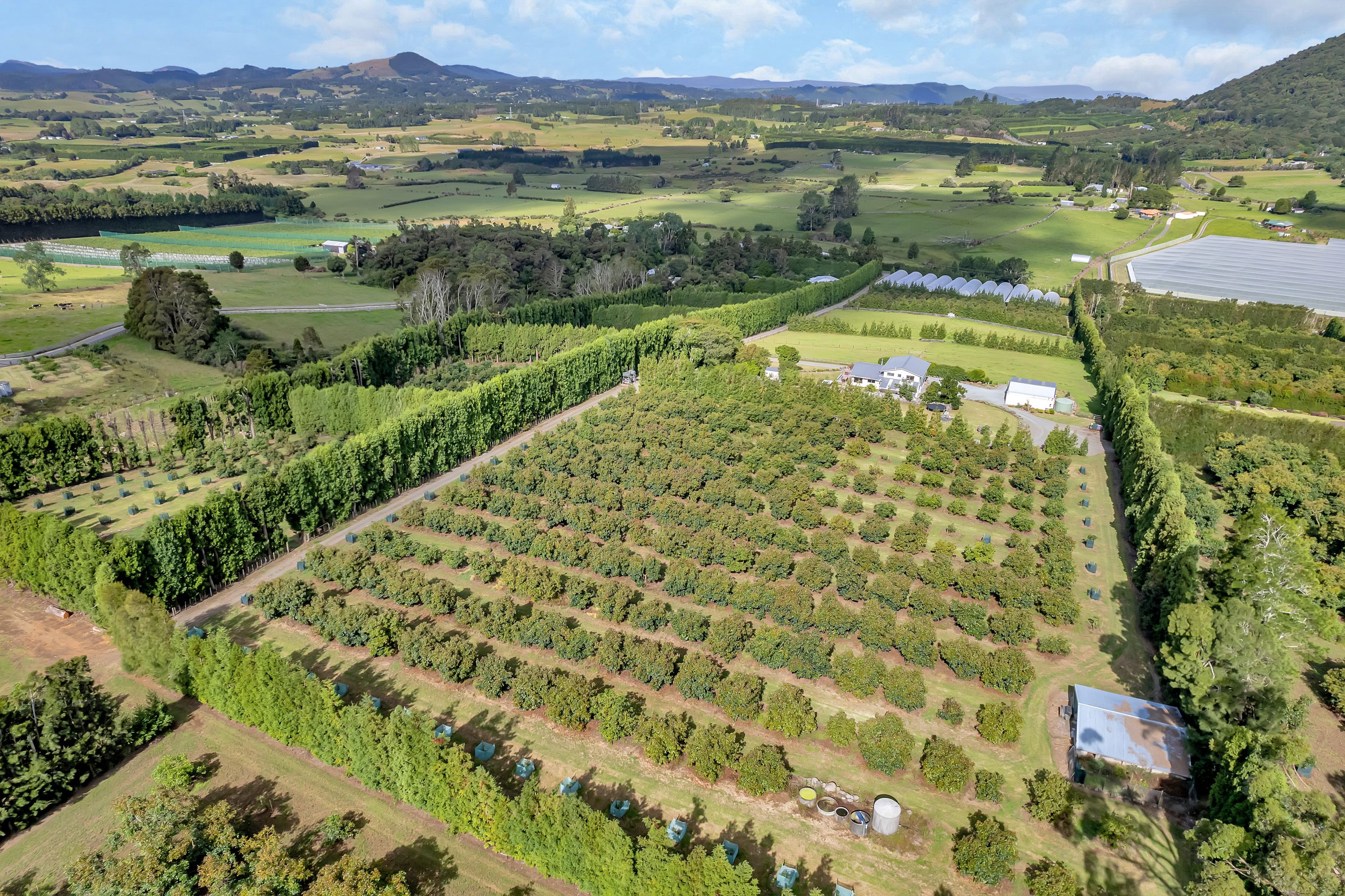 65 Tatton Road, Maungatapere, Whangarei District 0179 - Lifestyle ...