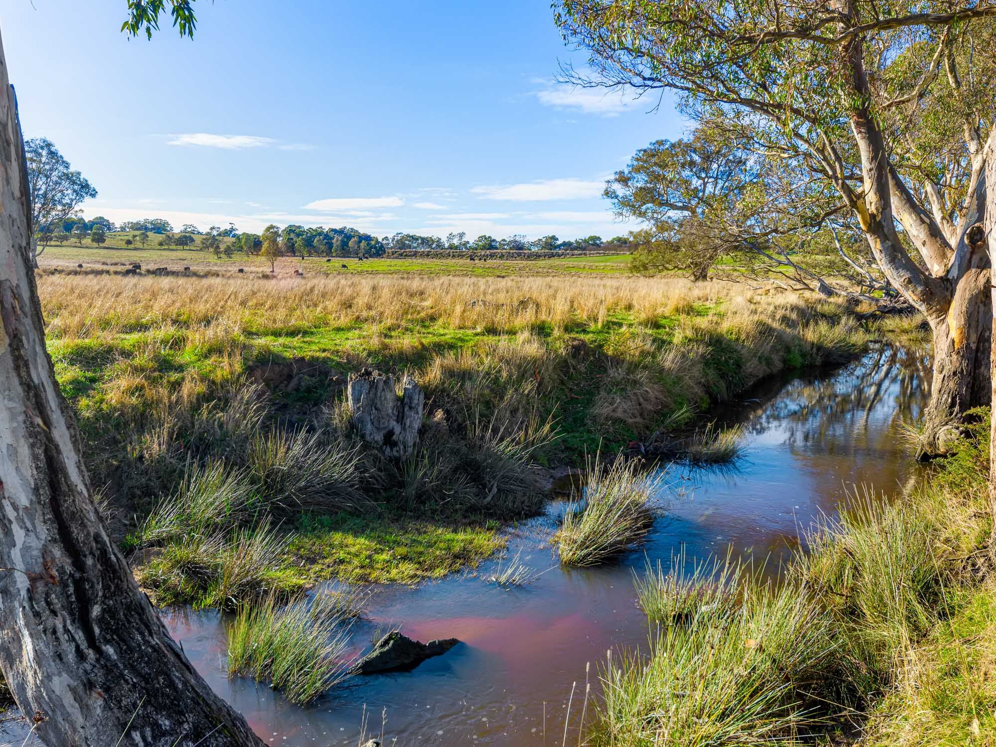 "Elphinstone" - Lot 1 Pollards Road, Elphinstone, VIC 3448 - Sold Rural ...