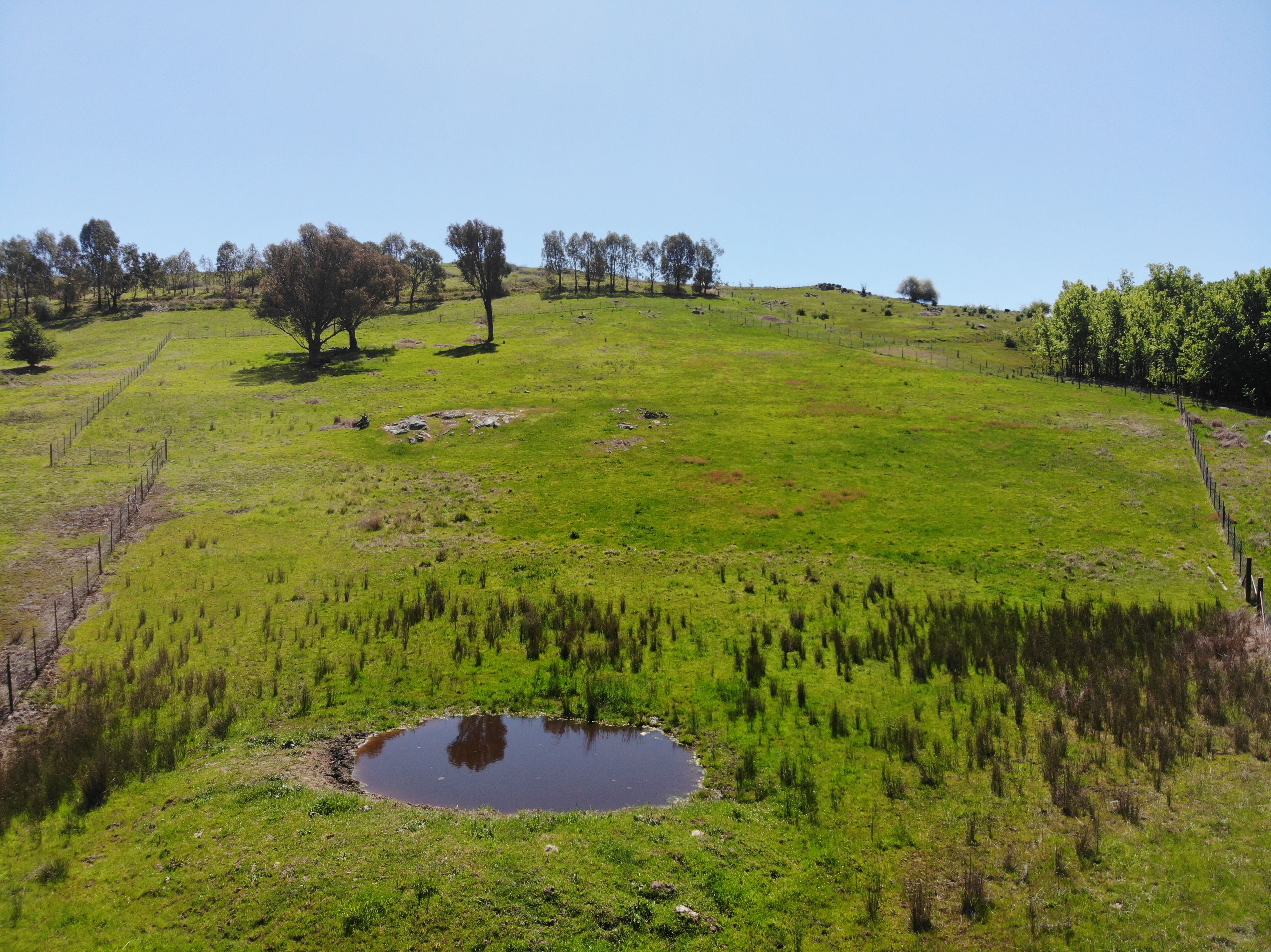 Lot 852 & 545 757211 Golden Gully Road, Adelong, NSW 2729 - Land for ...