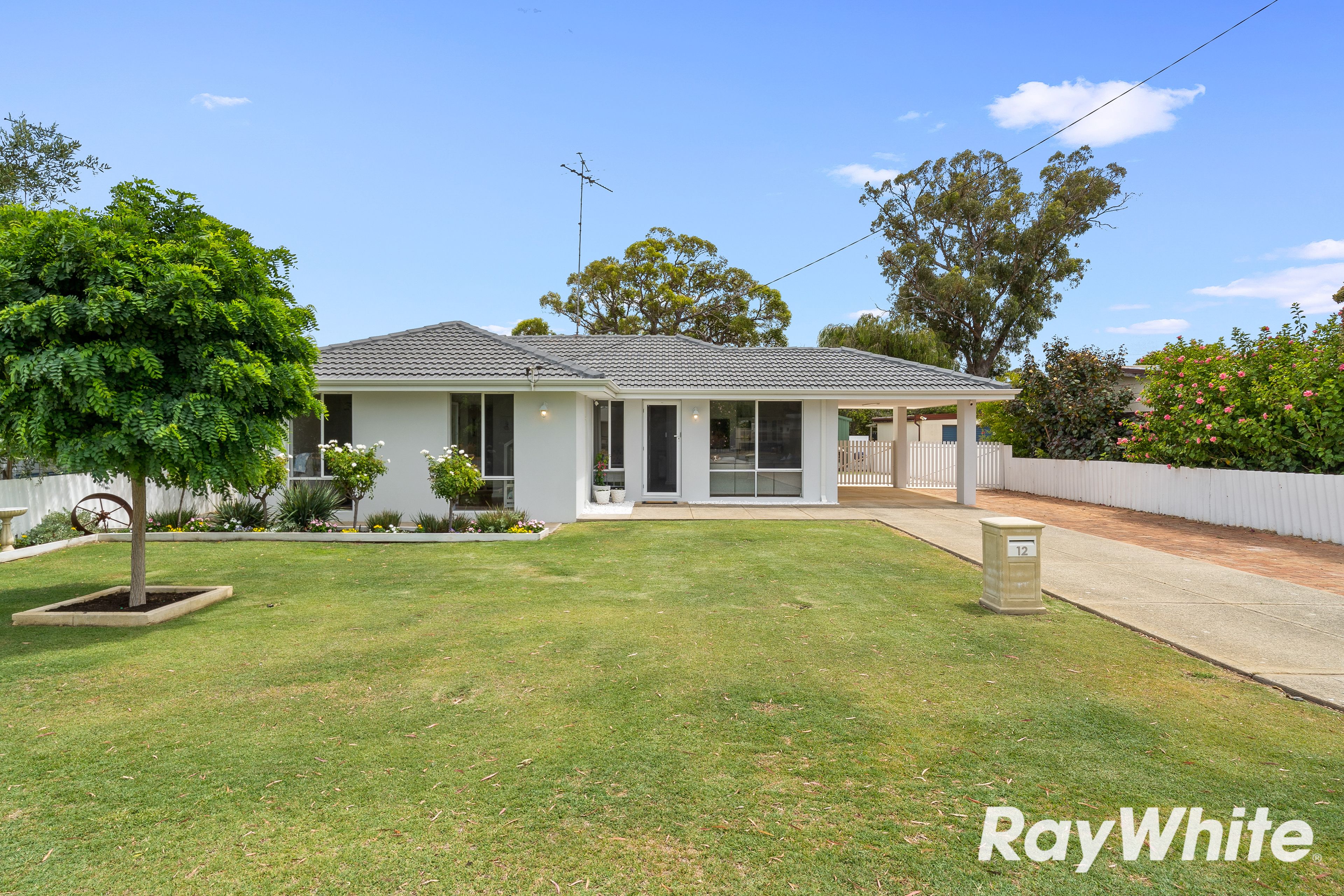 12 Nerine Street, Falcon, WA 6210 - Sold House - Ray White Mandurah