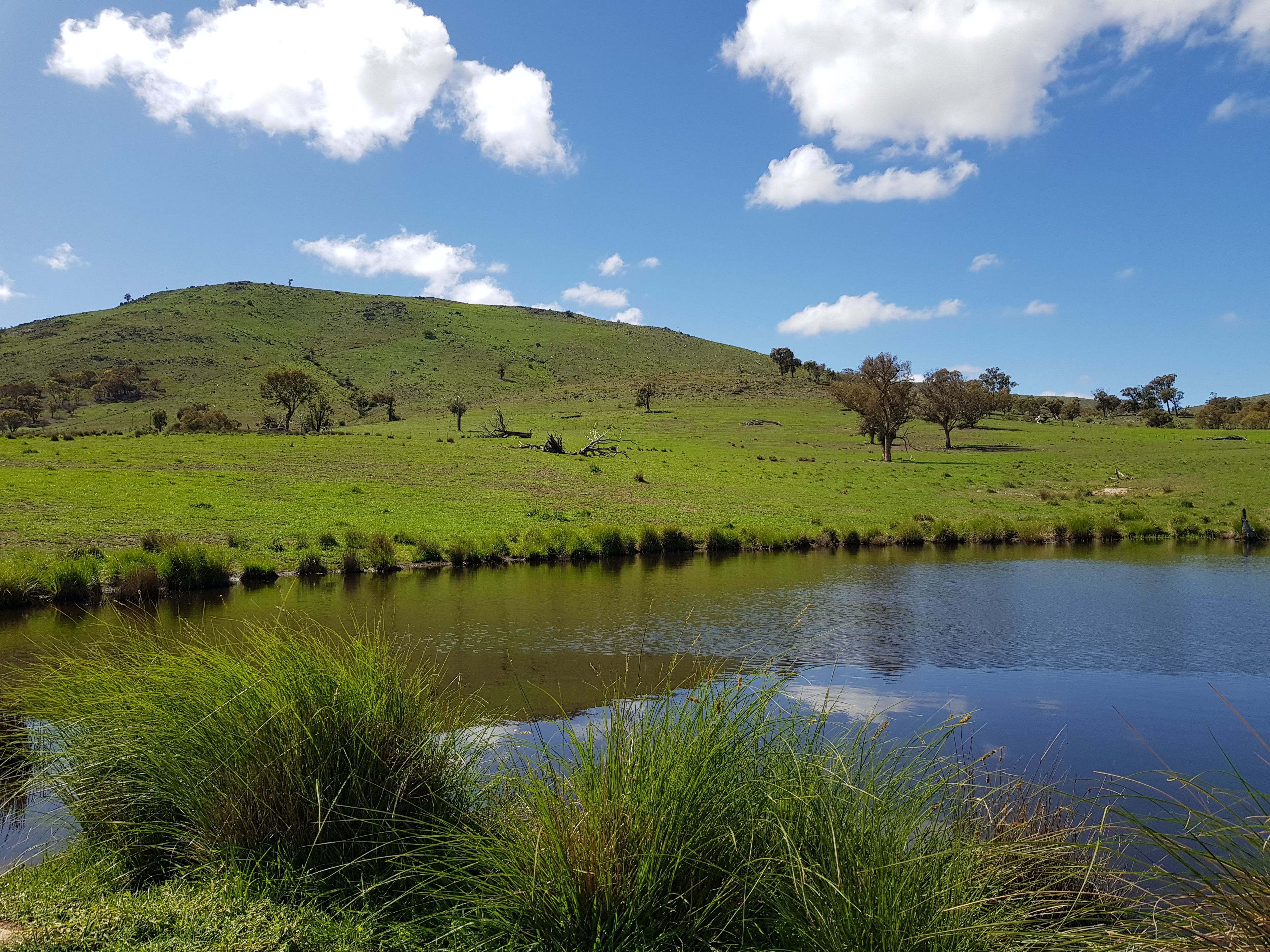 418 Nanima Road, Springrange, NSW 2618 - Sold Land - Ray White Canberra