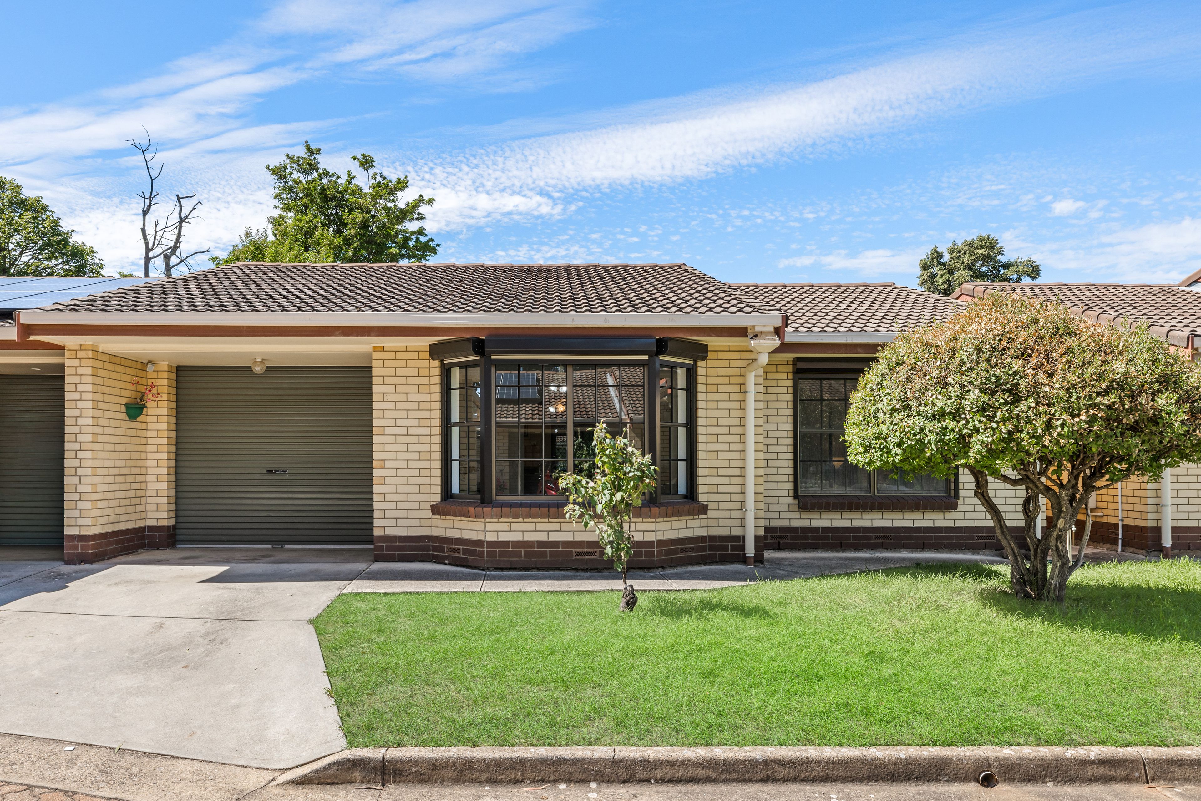 Ray White Prospect