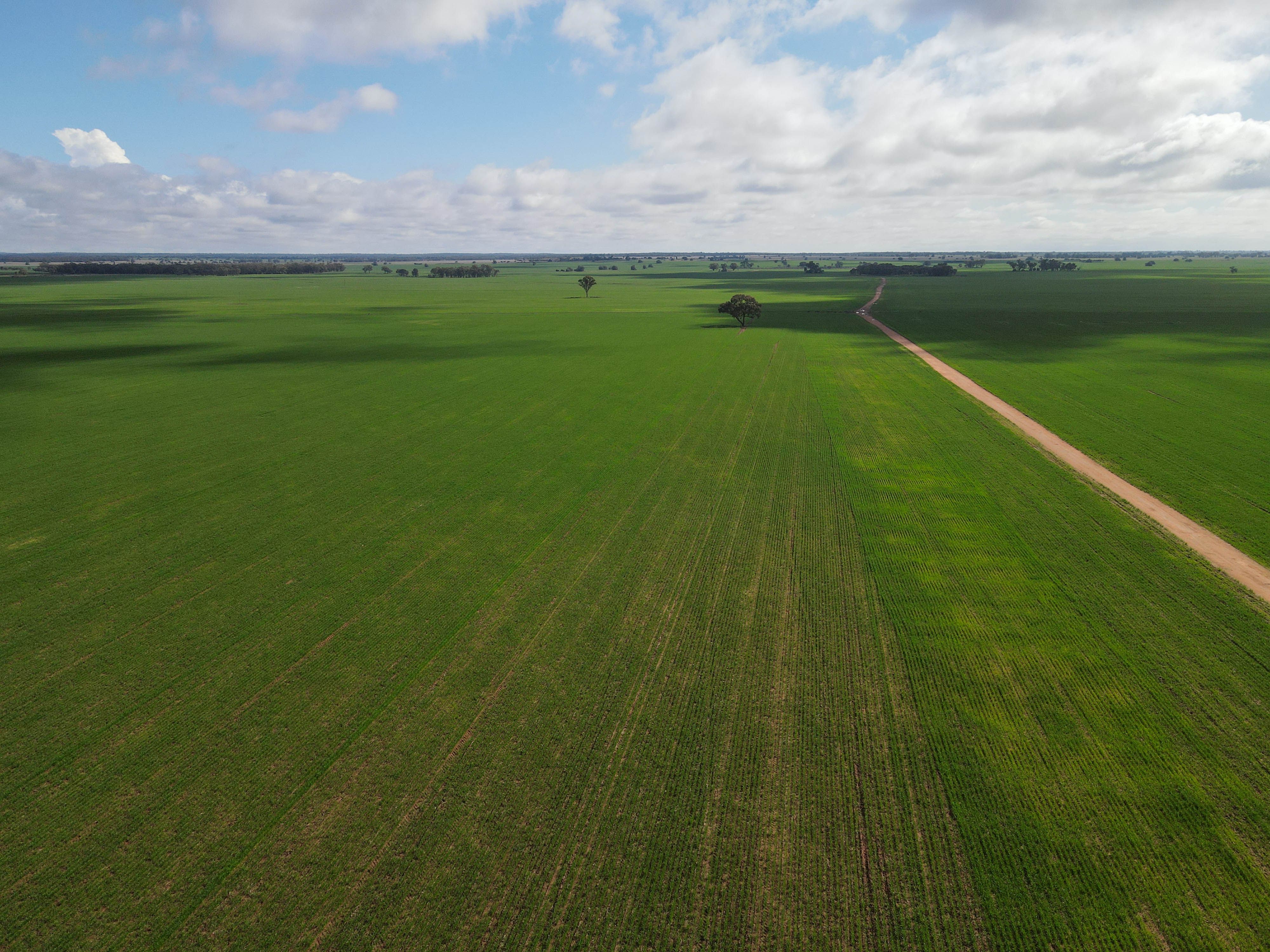 Mogal Plain 3595 Nyngan Road, Tottenham, NSW 2873 - Sold Rural Mixed ...