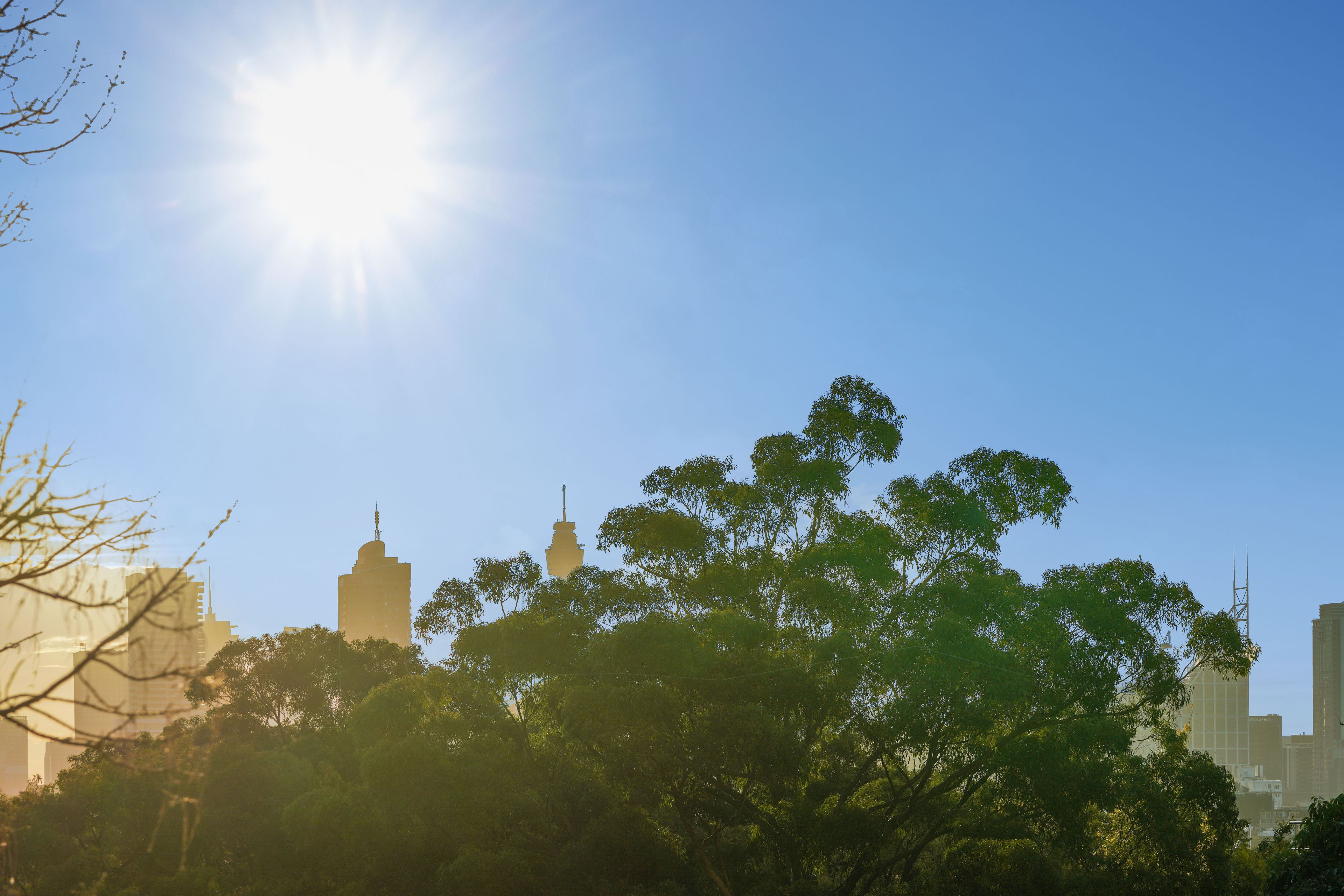 201/170 Ocean Street, Edgecliff, NSW 2027 - Leased Apartment - Ray ...