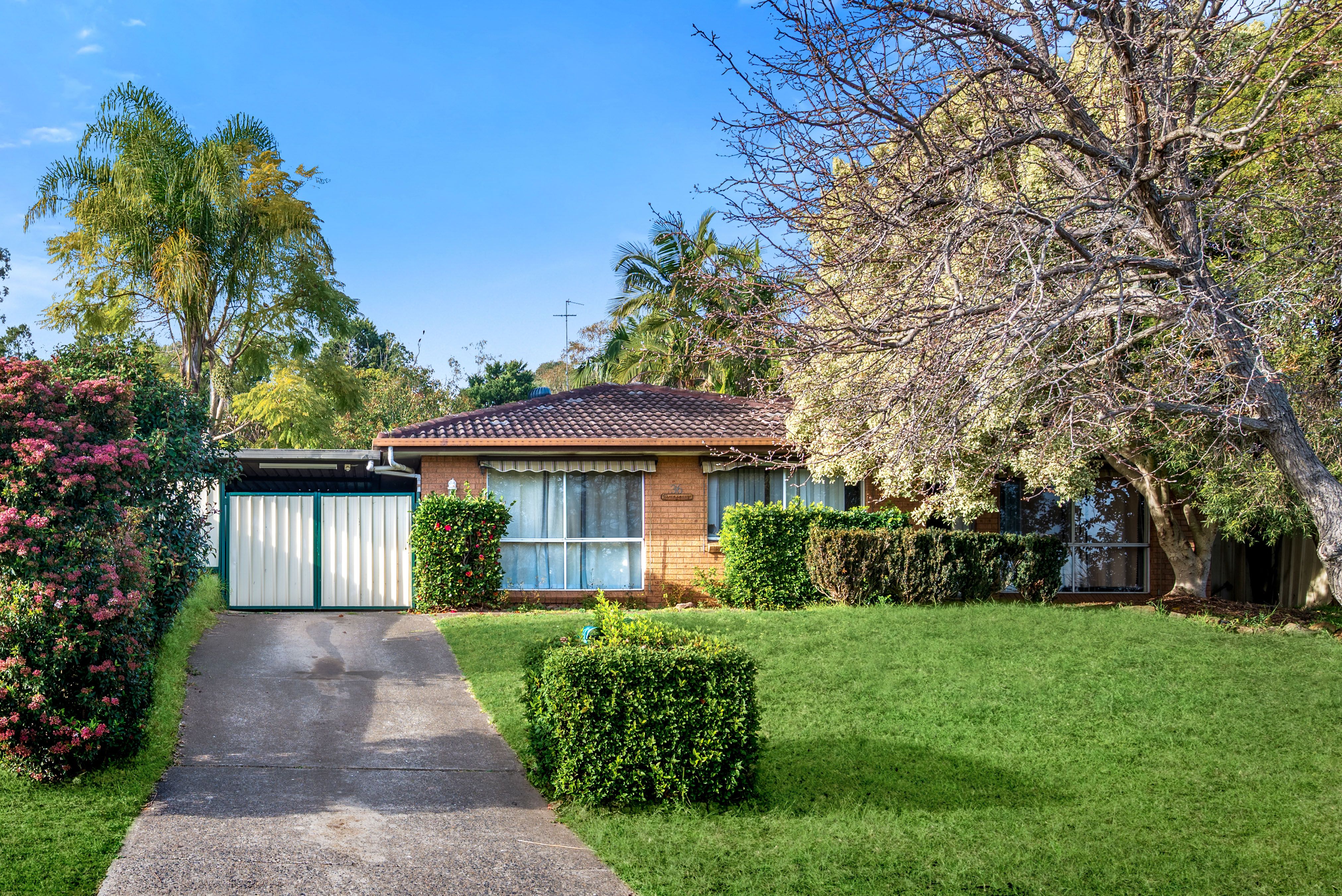 36 Randall Avenue, Minto, NSW 2566 - Sold House - Ray White Macarthur Group