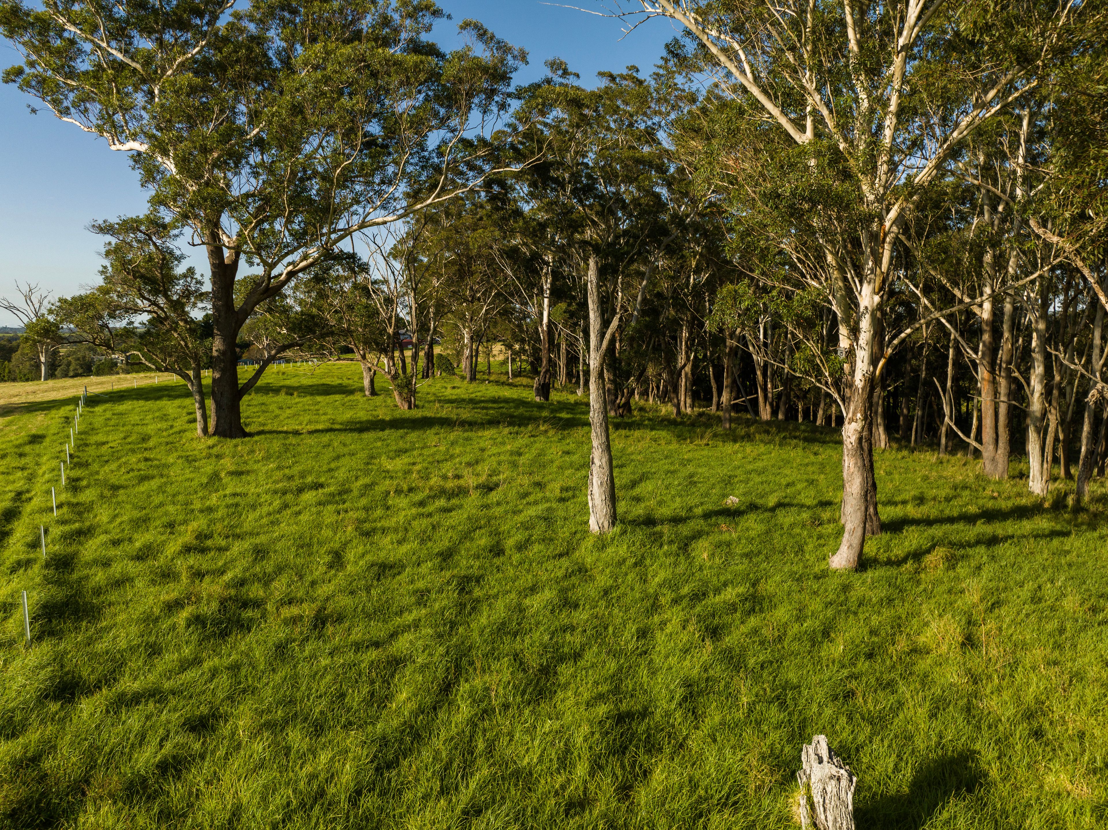 22 Serenity Ridge, Berry, NSW 2535 - Sold Land - Ray White Gerringong