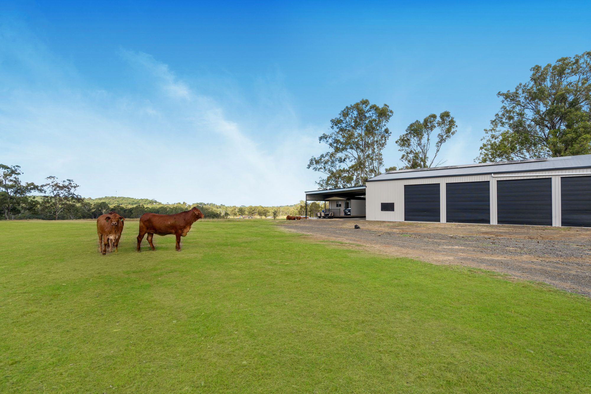 97-141 Dale Road, Karrabin, QLD 4306 - Sold Rural Lifestyle Property ...