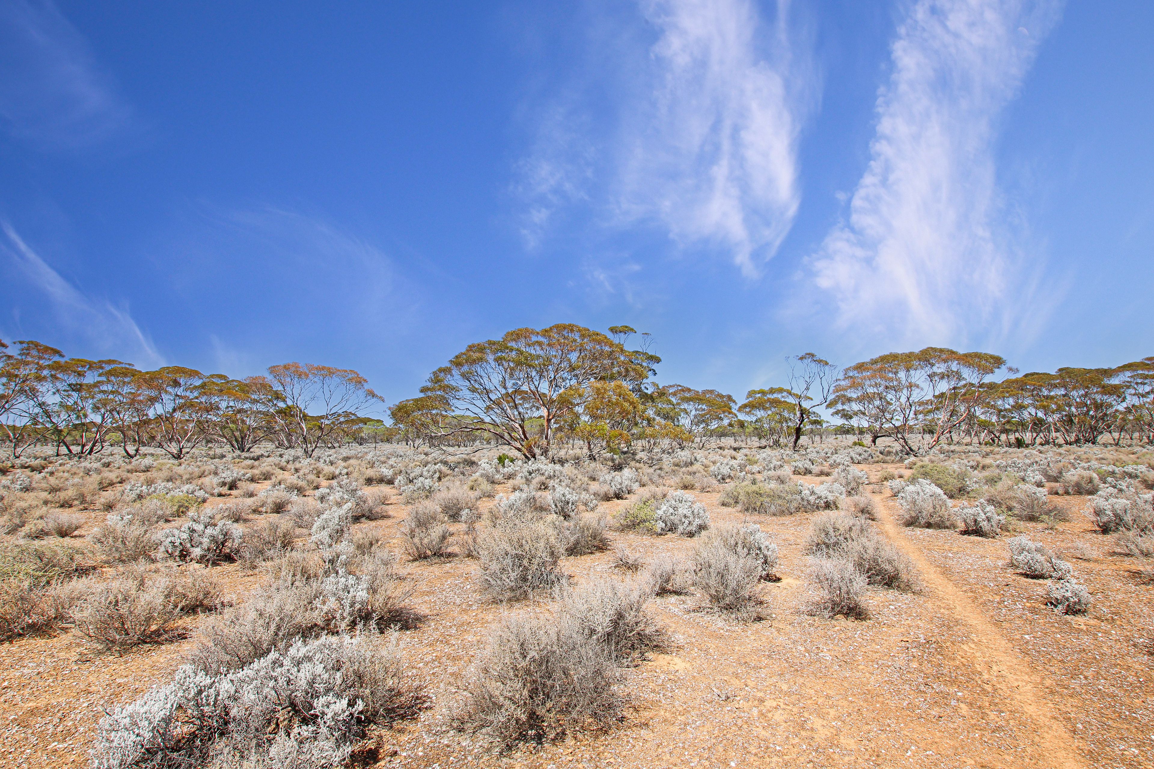 Lot 103 Stock Route Road, Mount Mary, SA 5374 - Sold Rural Lifestyle ...