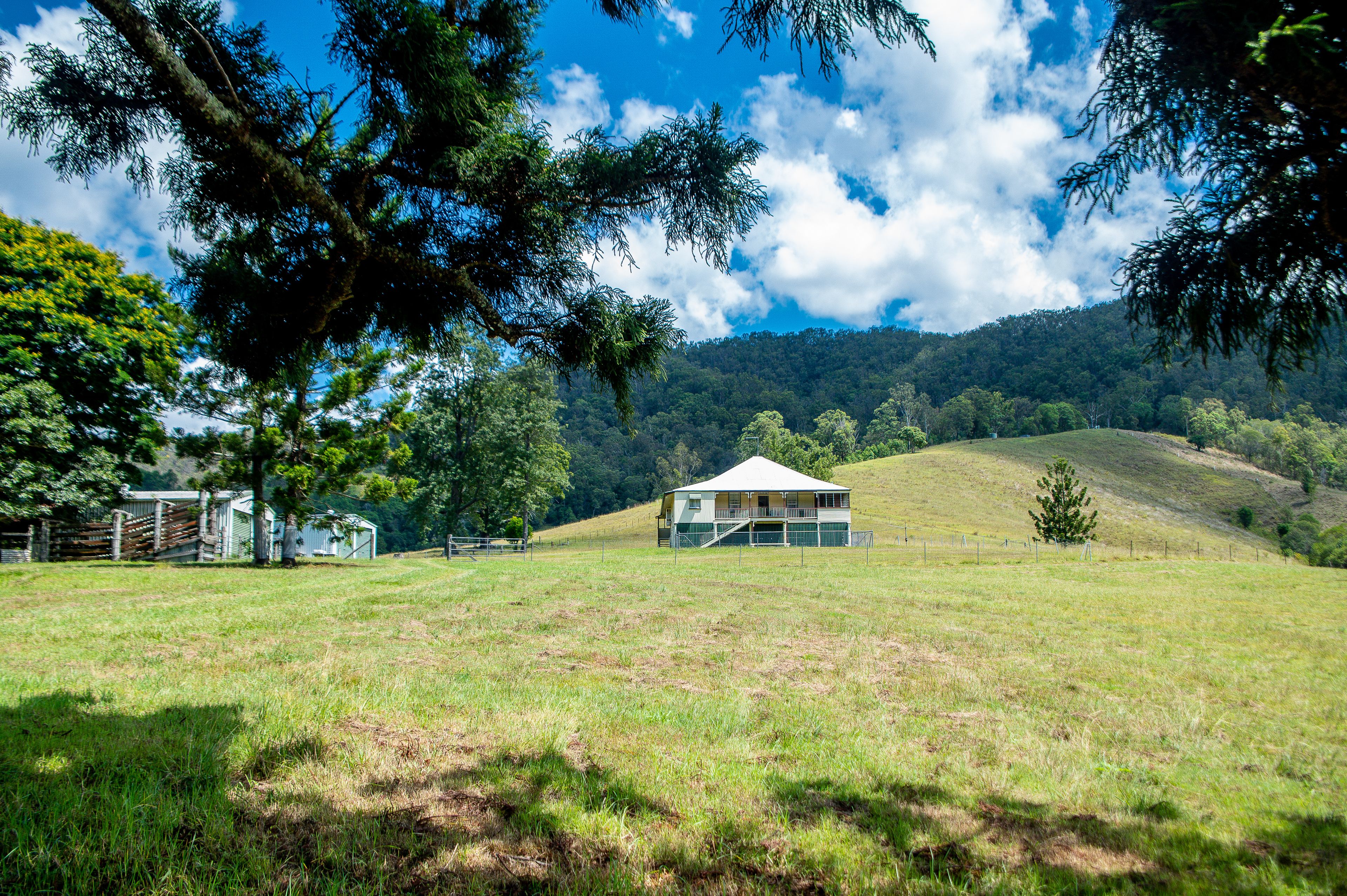 Laceys Creek, QLD 4521 - Sold House - Ray White Rural Dayboro | Eumundi