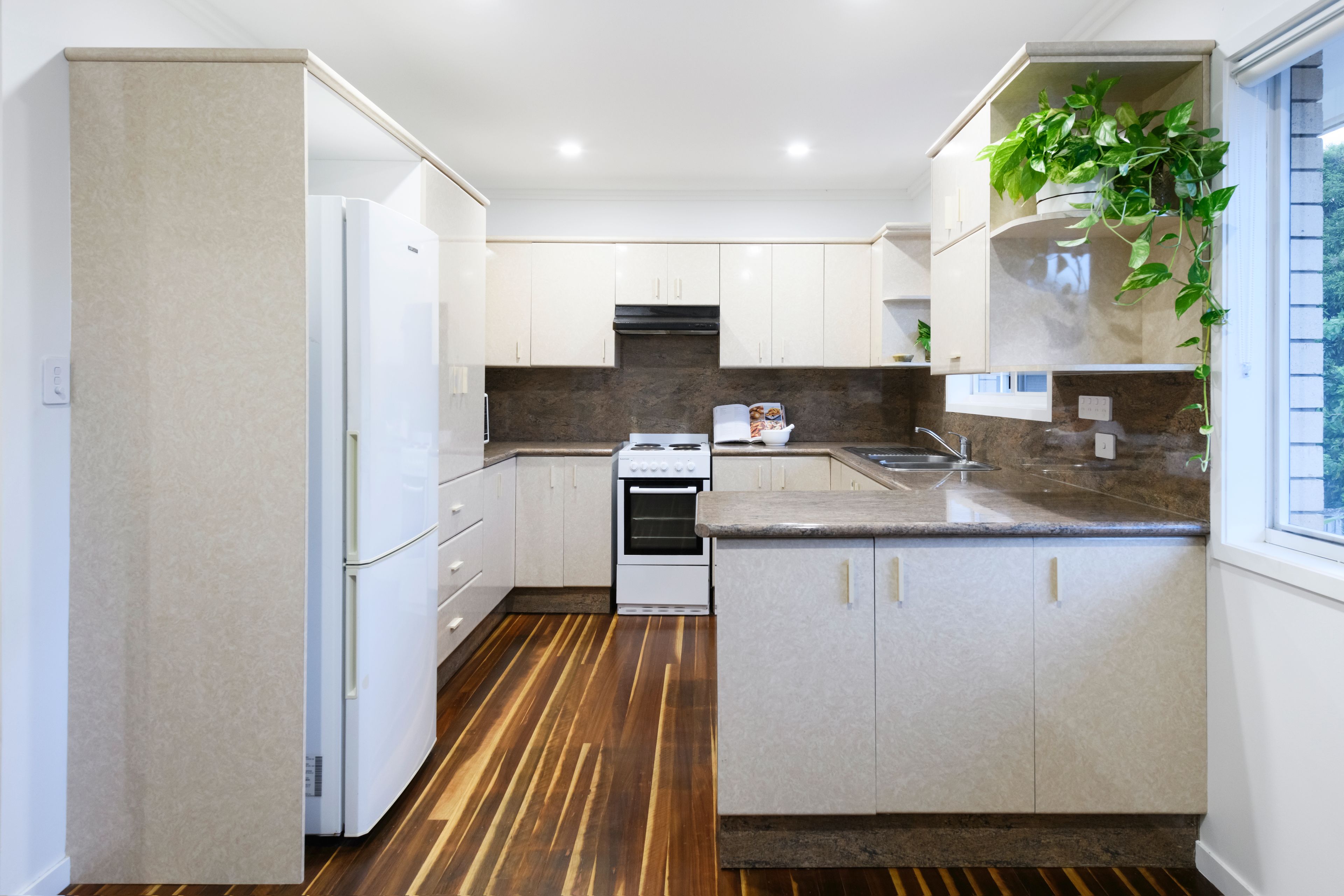 8 Silvertop Street, Keperra, QLD 4054 - Sold House - Ray White Mitchelton