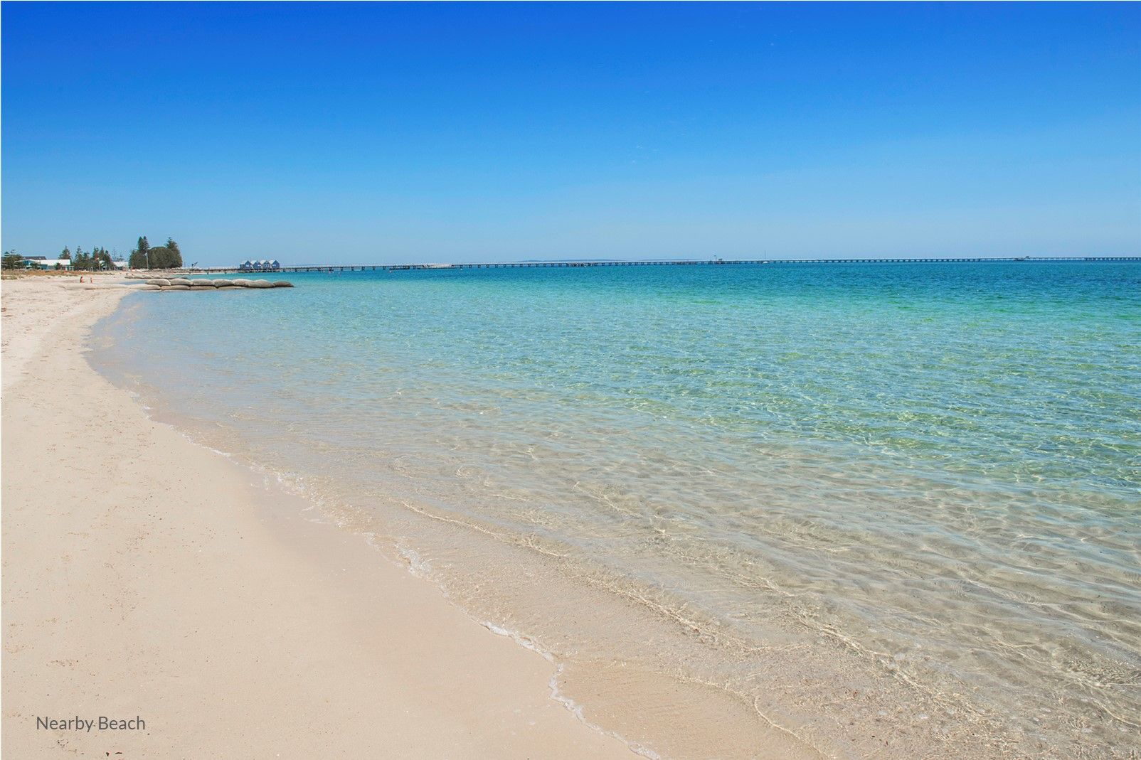 Ray White Stocker Preston