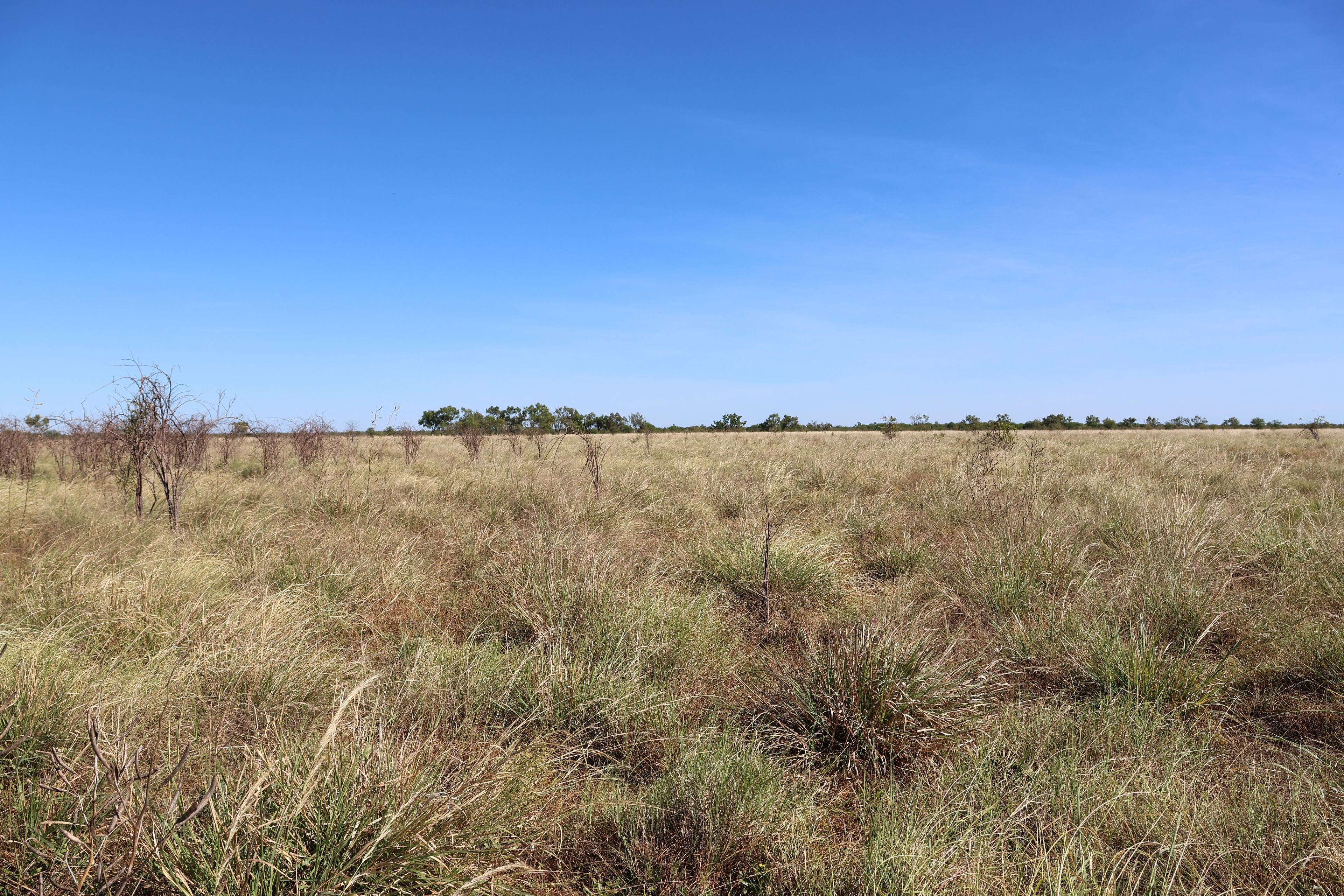 "Brookdale Station" - 0 Kotupna Holding, Gregory, QLD 4830 - Sold Rural ...