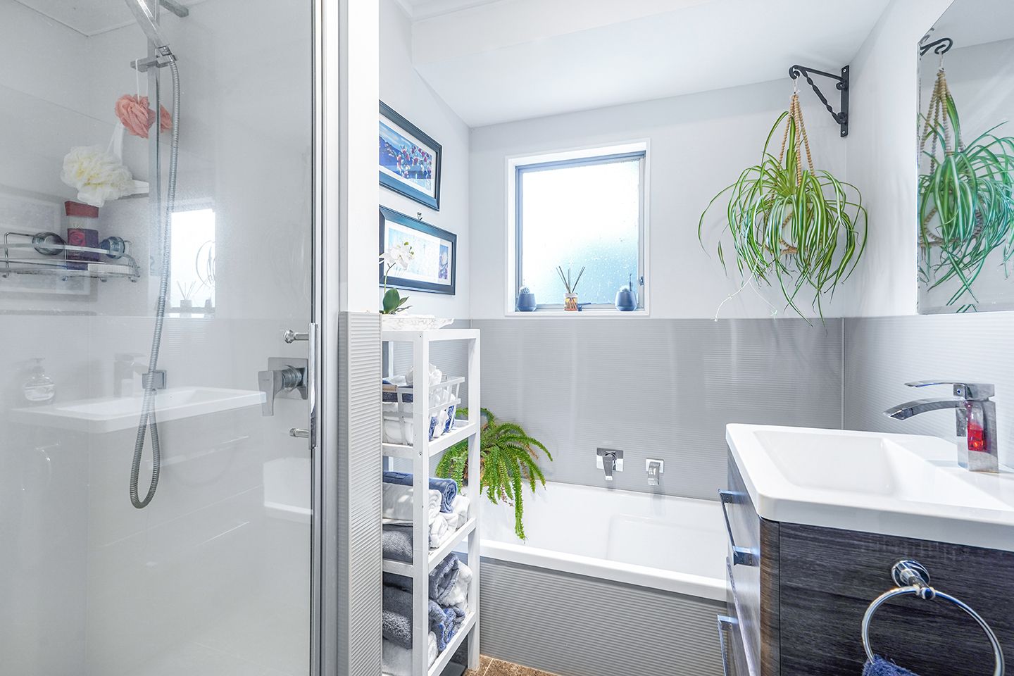 20 Riley Place, Fitzroy, Hamilton City 3206 - Sold House - Ray White ...