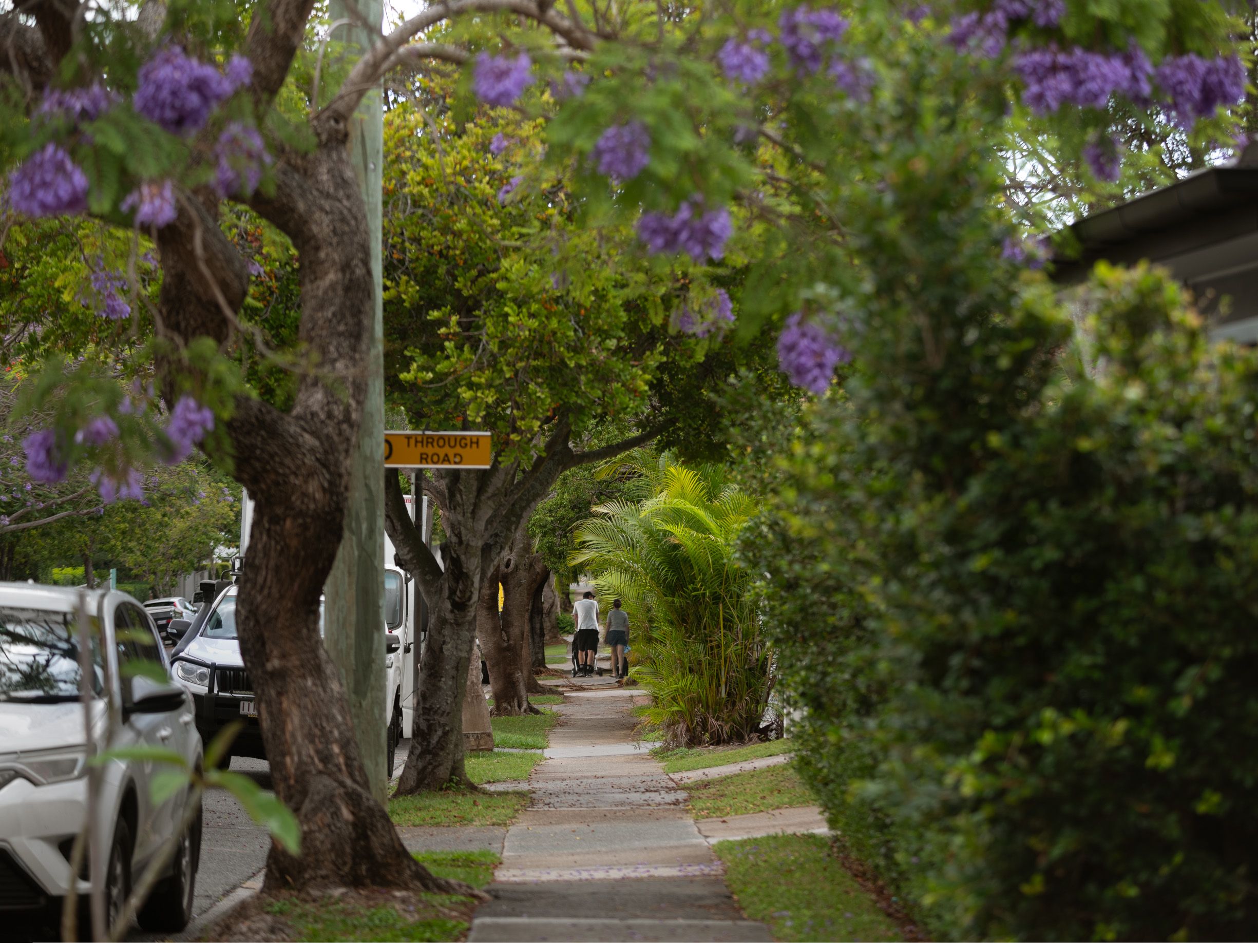46 Milman Street, Clayfield, QLD 4011 - Sold Land - Ray White Toowong