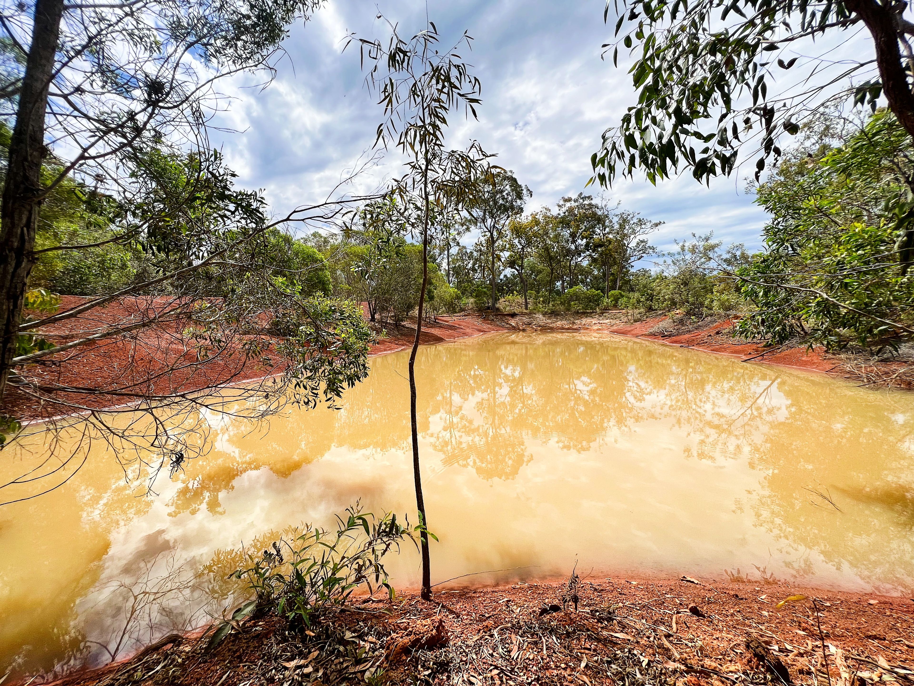 Lot 5 Barrs Road, South Kolan, QLD 4670 - Sold Land - Ray White Bundaberg