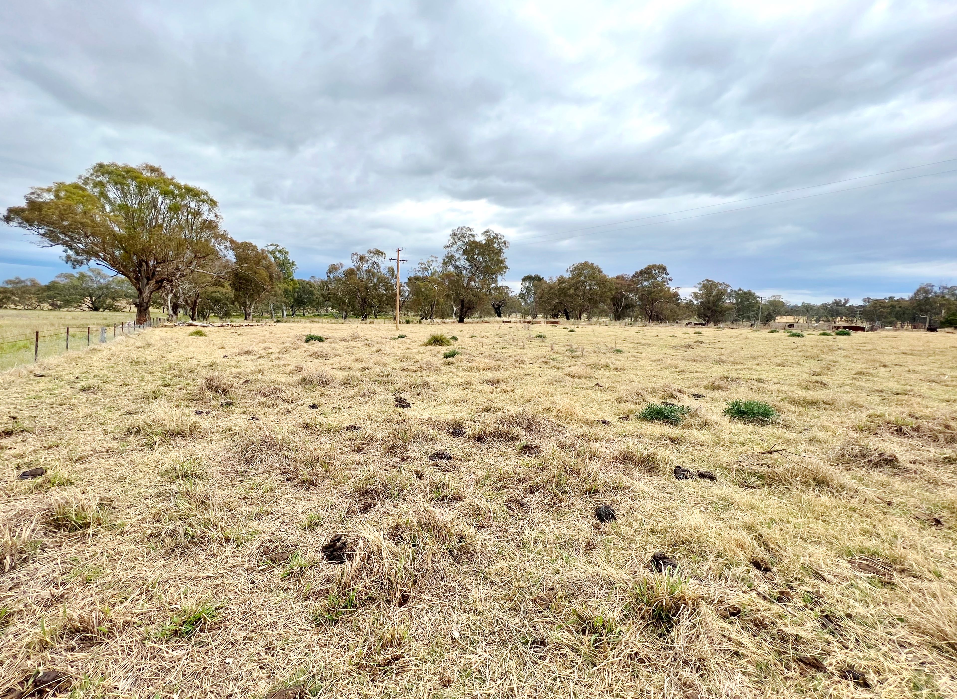 72 Creamery Road Murringo Via, Young, NSW 2594 - Sold Land - Ray White ...
