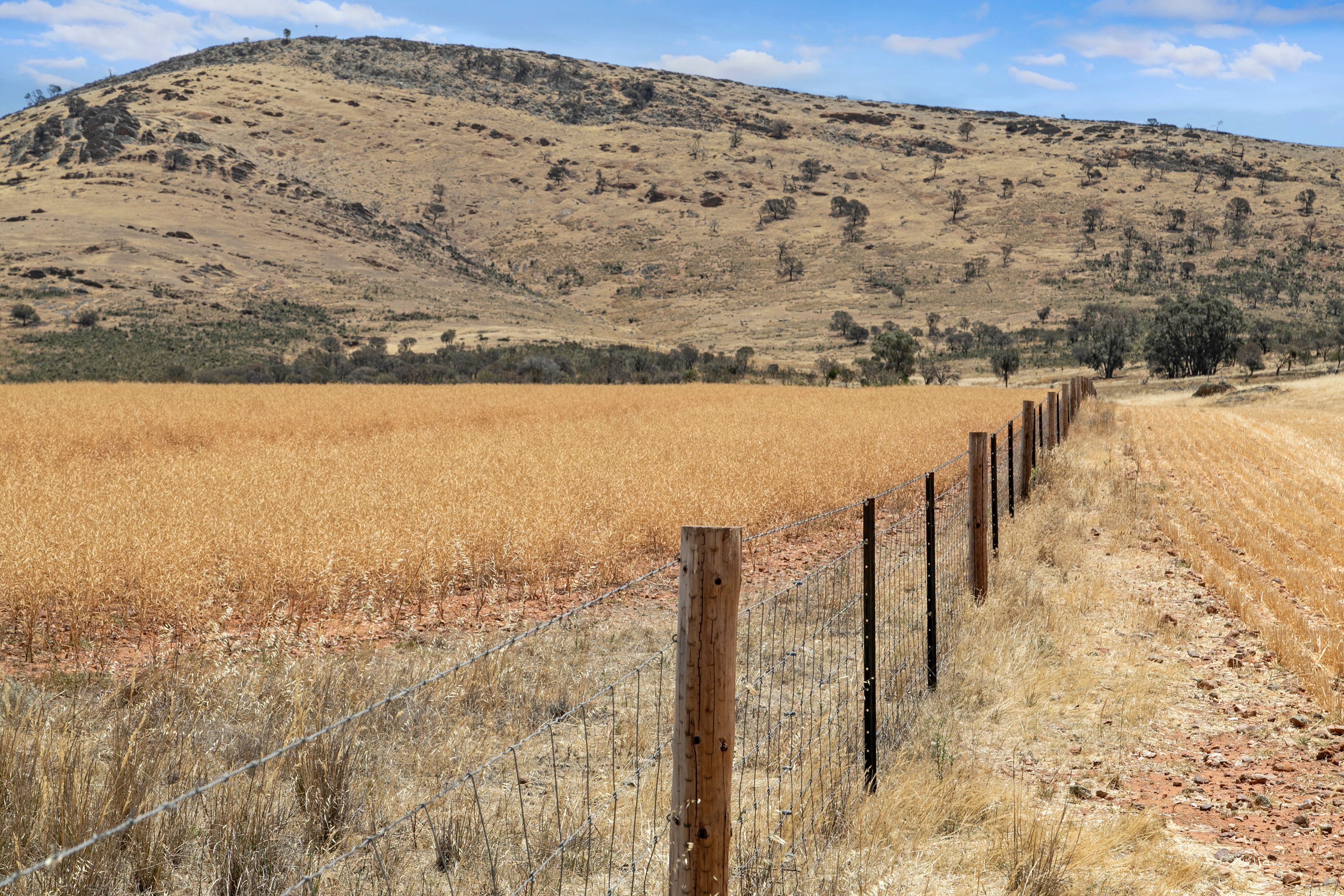 'Sunny Rise' Booleroo Road, Pekina, SA 5431 - Sold Rural Mixed Farming ...