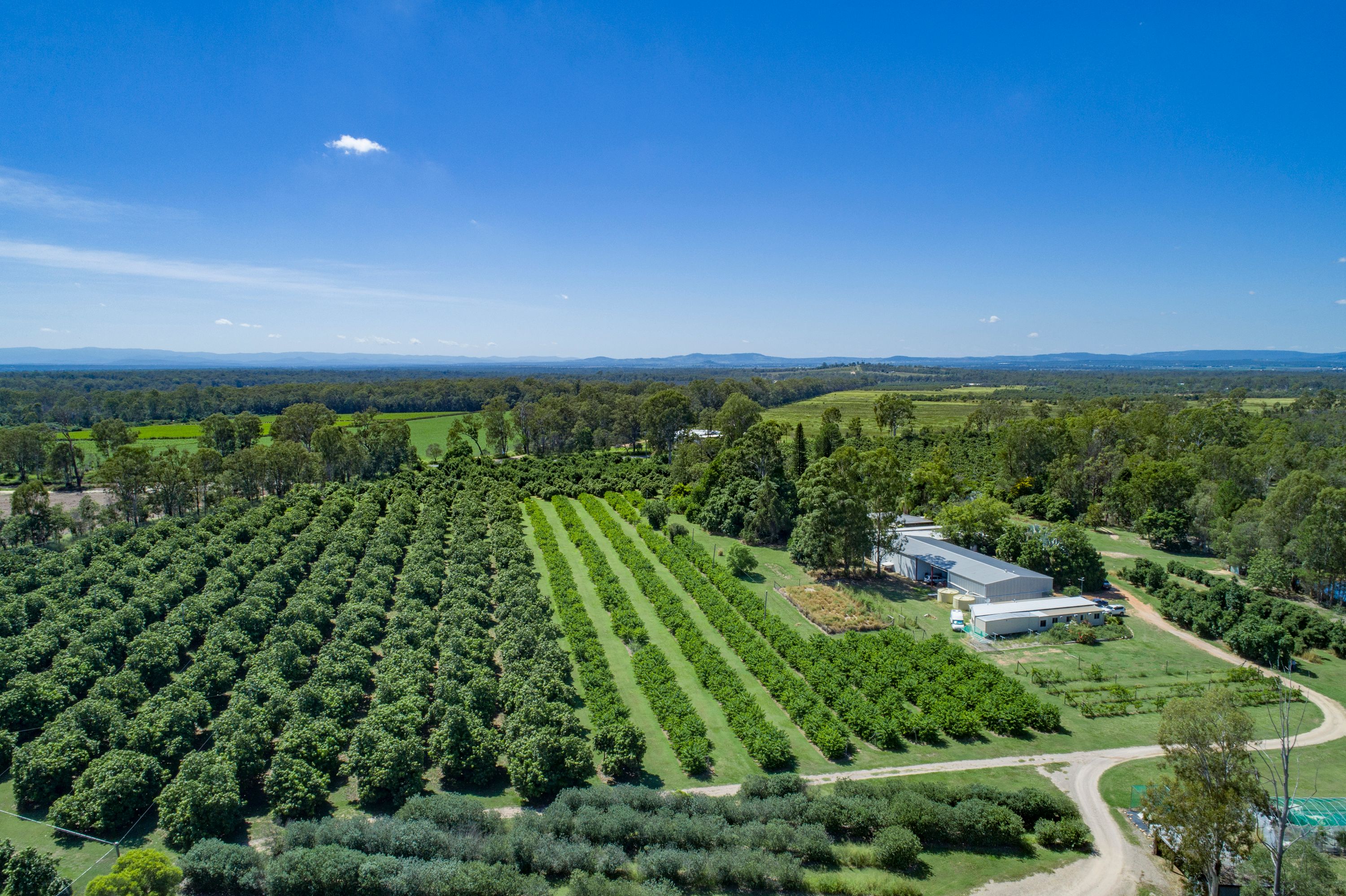 "Farm Gate Orchard" - 1411 Gatton Esk Road, Spring Creek, QLD 4343 ...