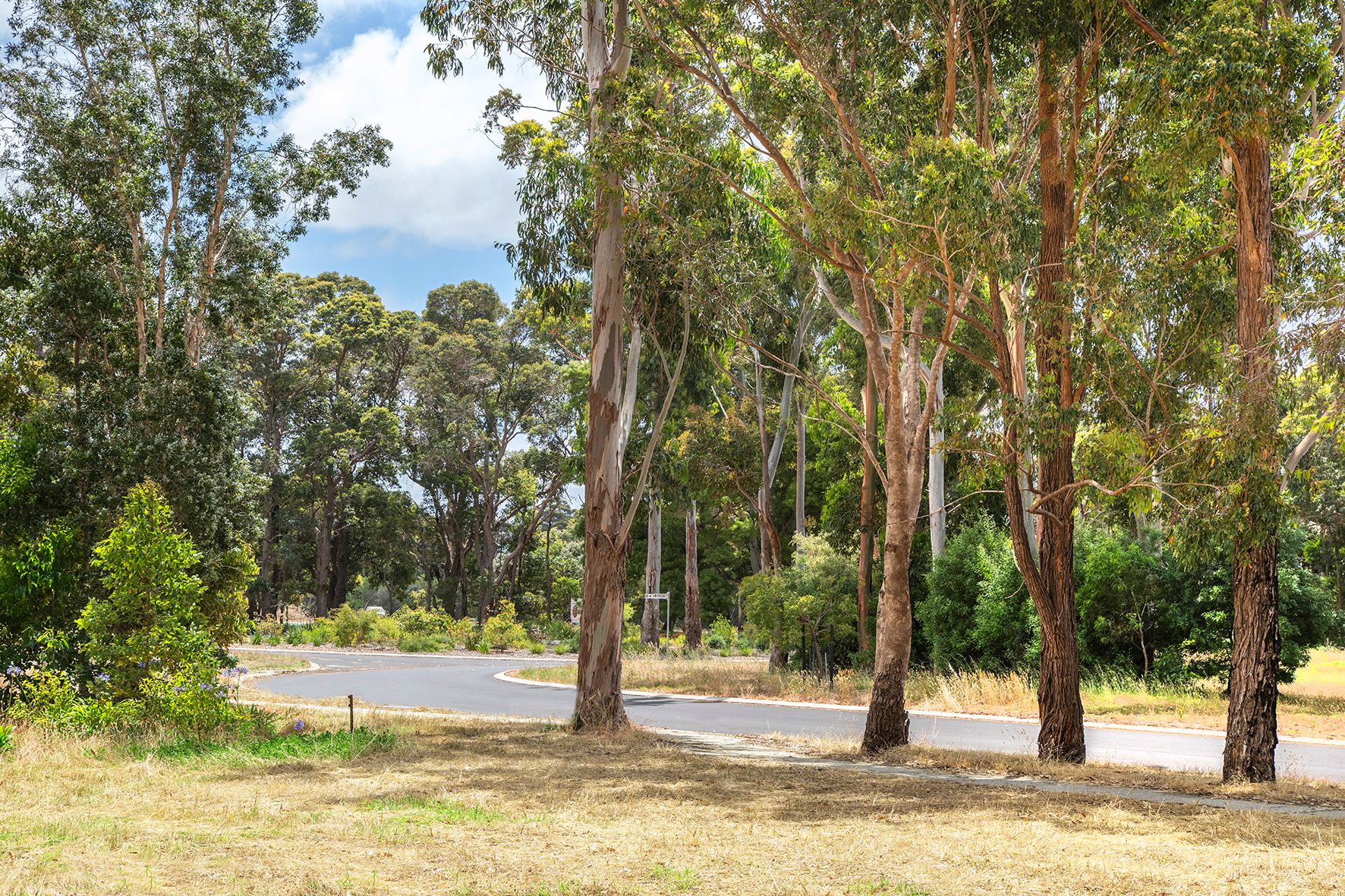 45 McManus Circuit, Witchcliffe, WA 6286 - Sold Land - Ray White ...