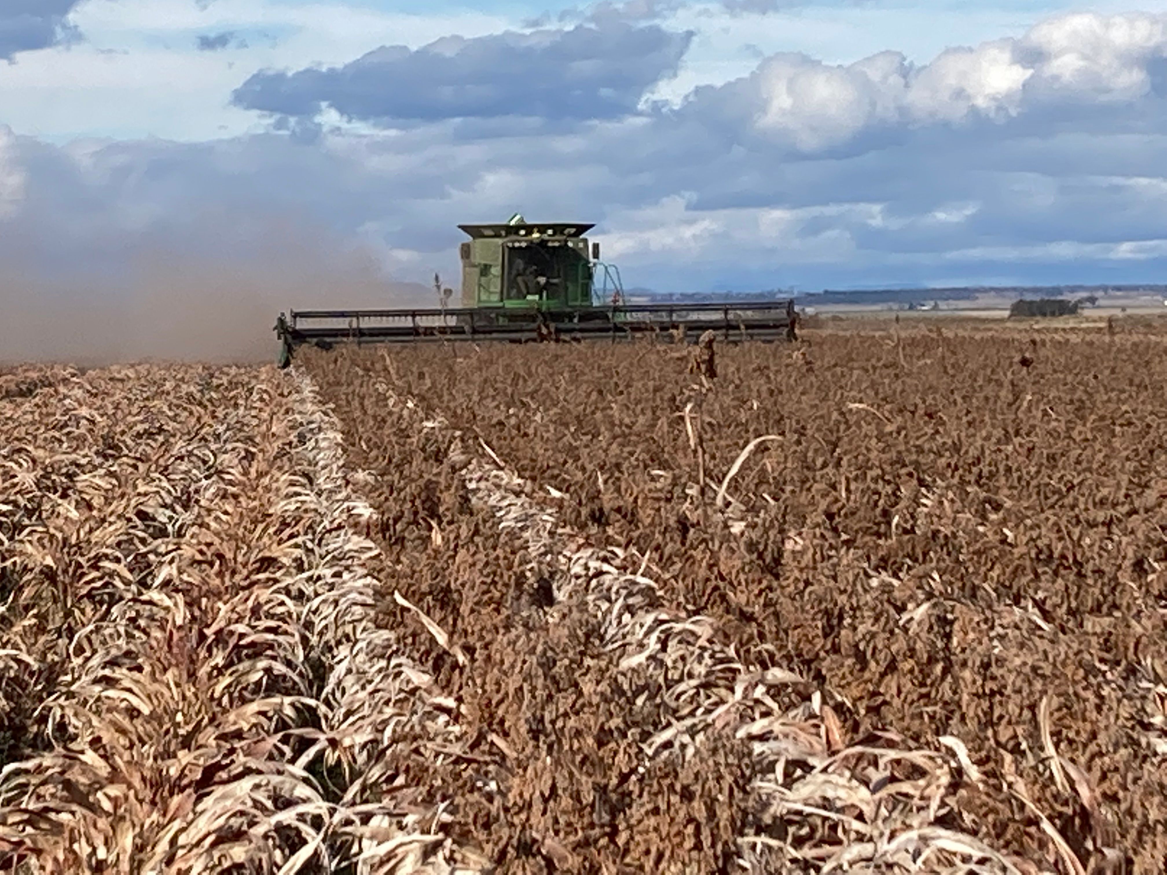 Ryeford, QLD 4361 - Sold Rural Cropping Property - Ray White Rural ...