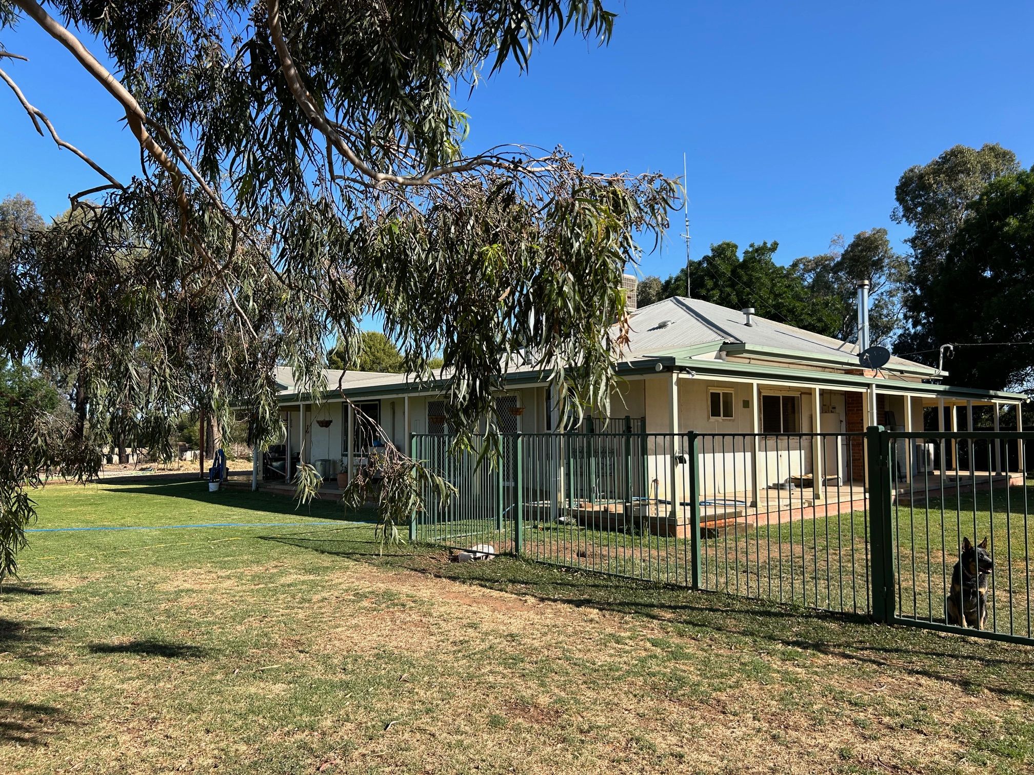 Sorrento Farm 1763, Whitton, NSW 2705 - Sold Rural Cropping Property ...