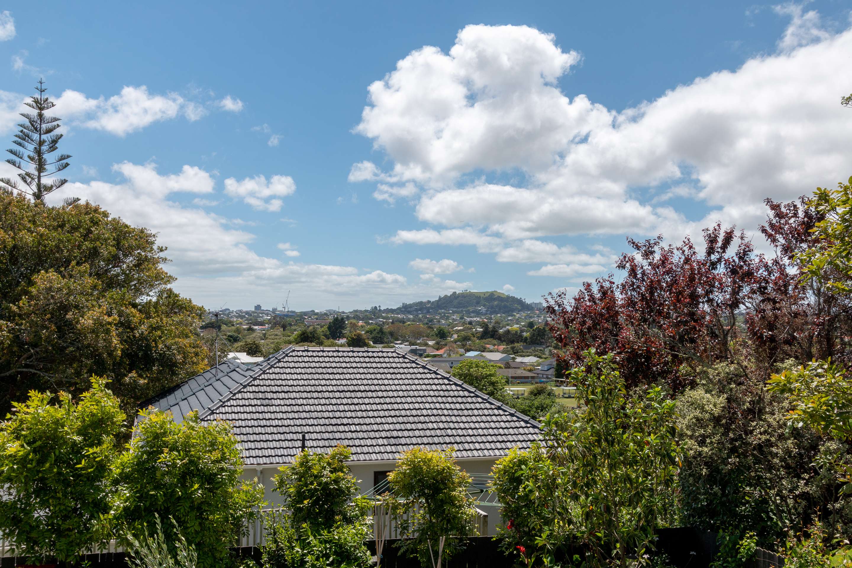 59B Kiwitea Street, Sandringham, Auckland City | Real Estate | Ray ...