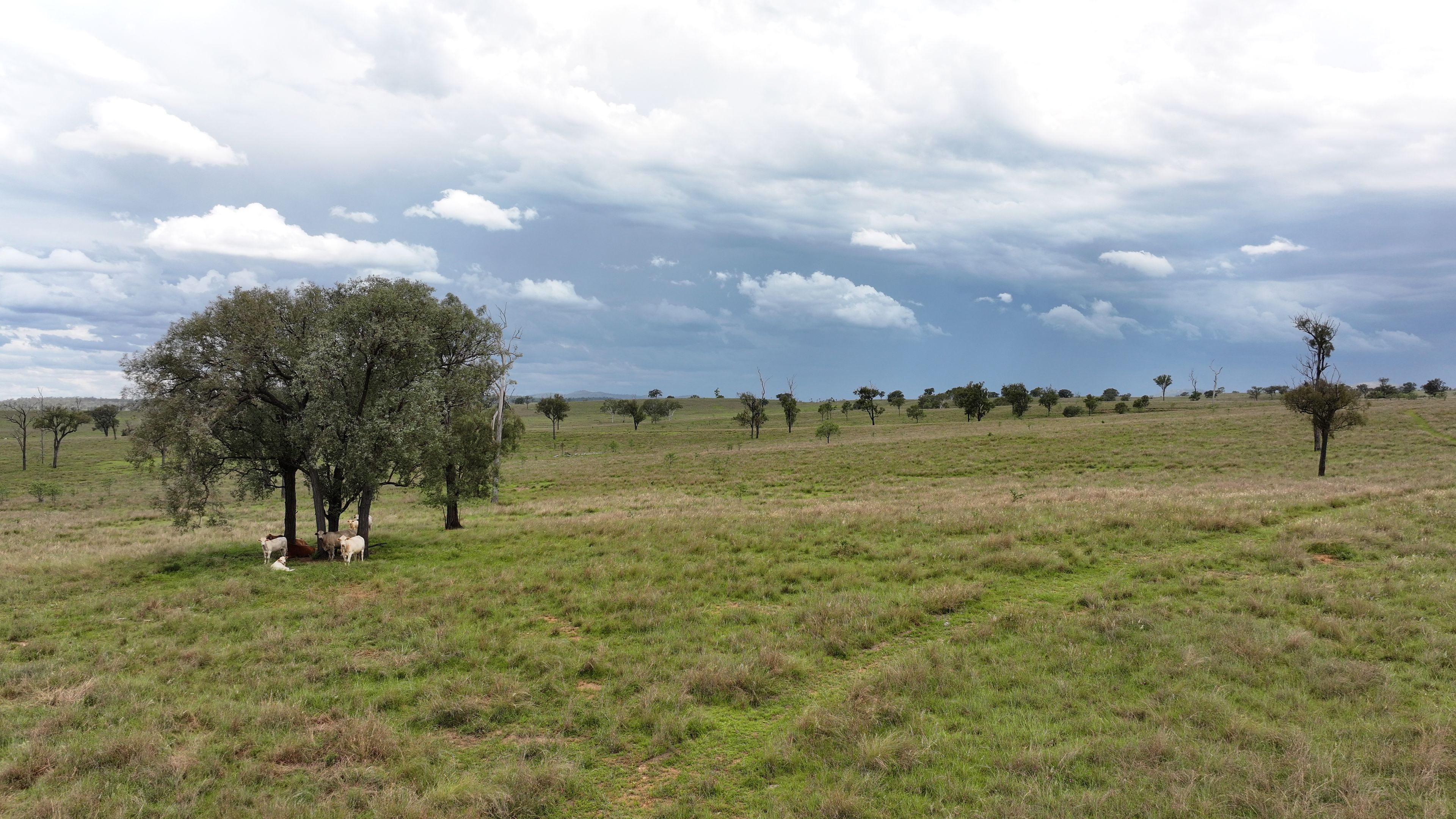 "Echo Hills" - "Echo Hills" 2945 Beeron Road, Mundubbera, QLD 4626 ...