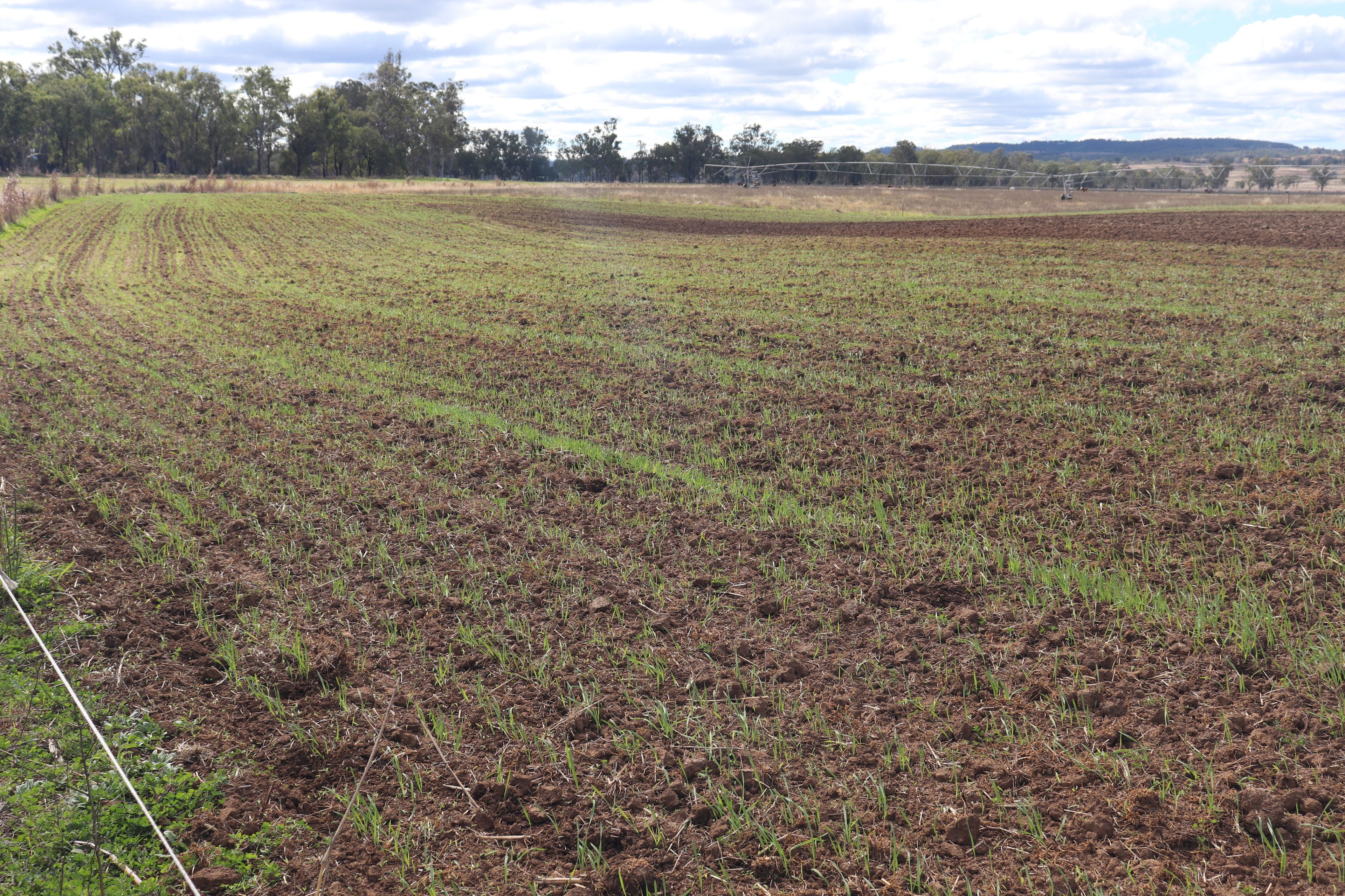 95 Monto-Mount Perry Road, Tellebang, QLD 4630 - Rural Mixed Farming ...