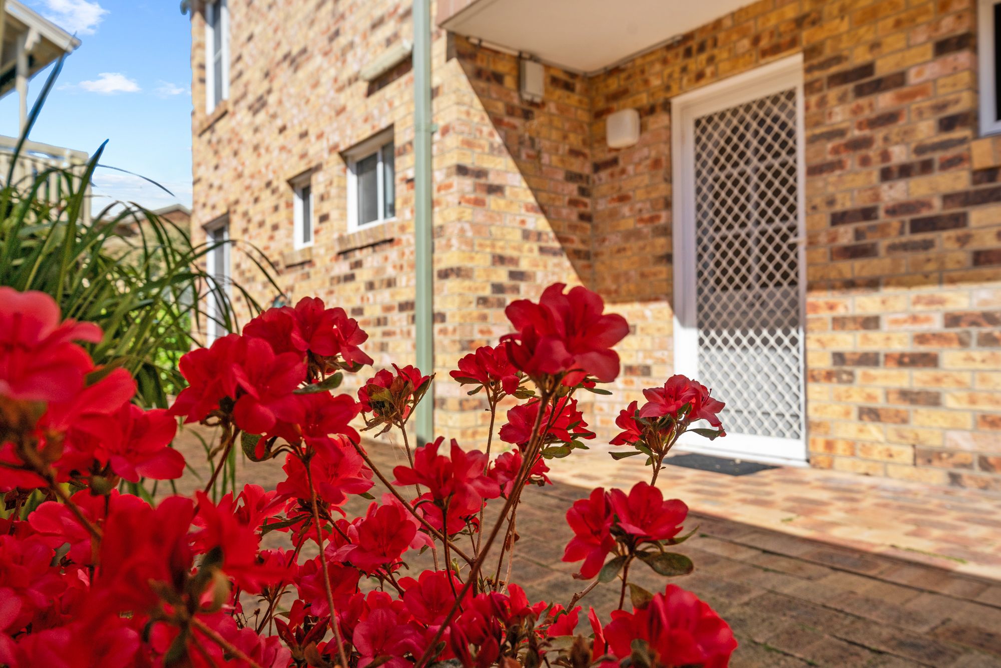 130/15 Lorraine Avenue, Berkeley Vale, NSW 2261 - Sold Unit - Ray White ...